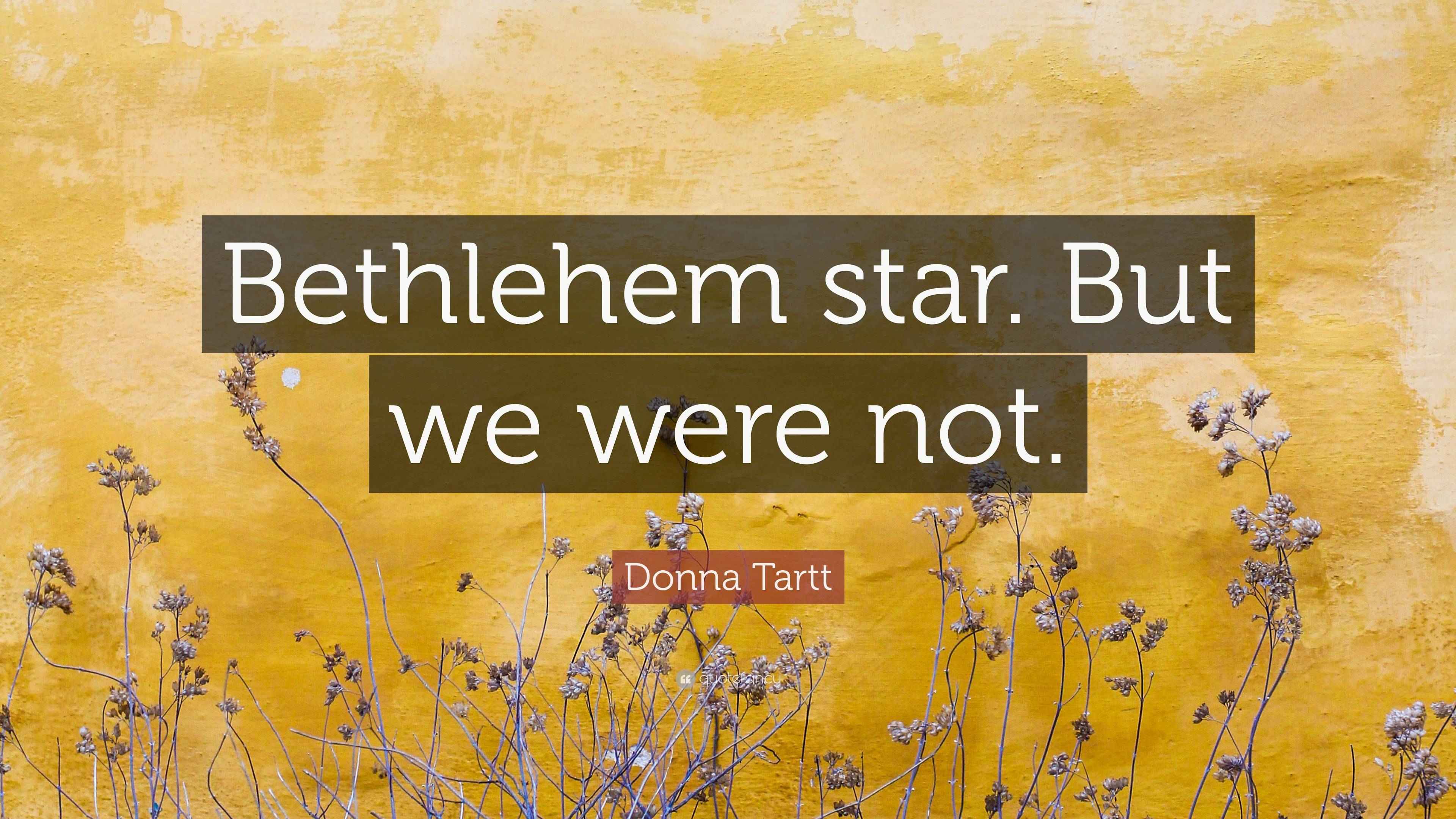 Donna Tartt Quote: “Bethlehem star. But we were not.”