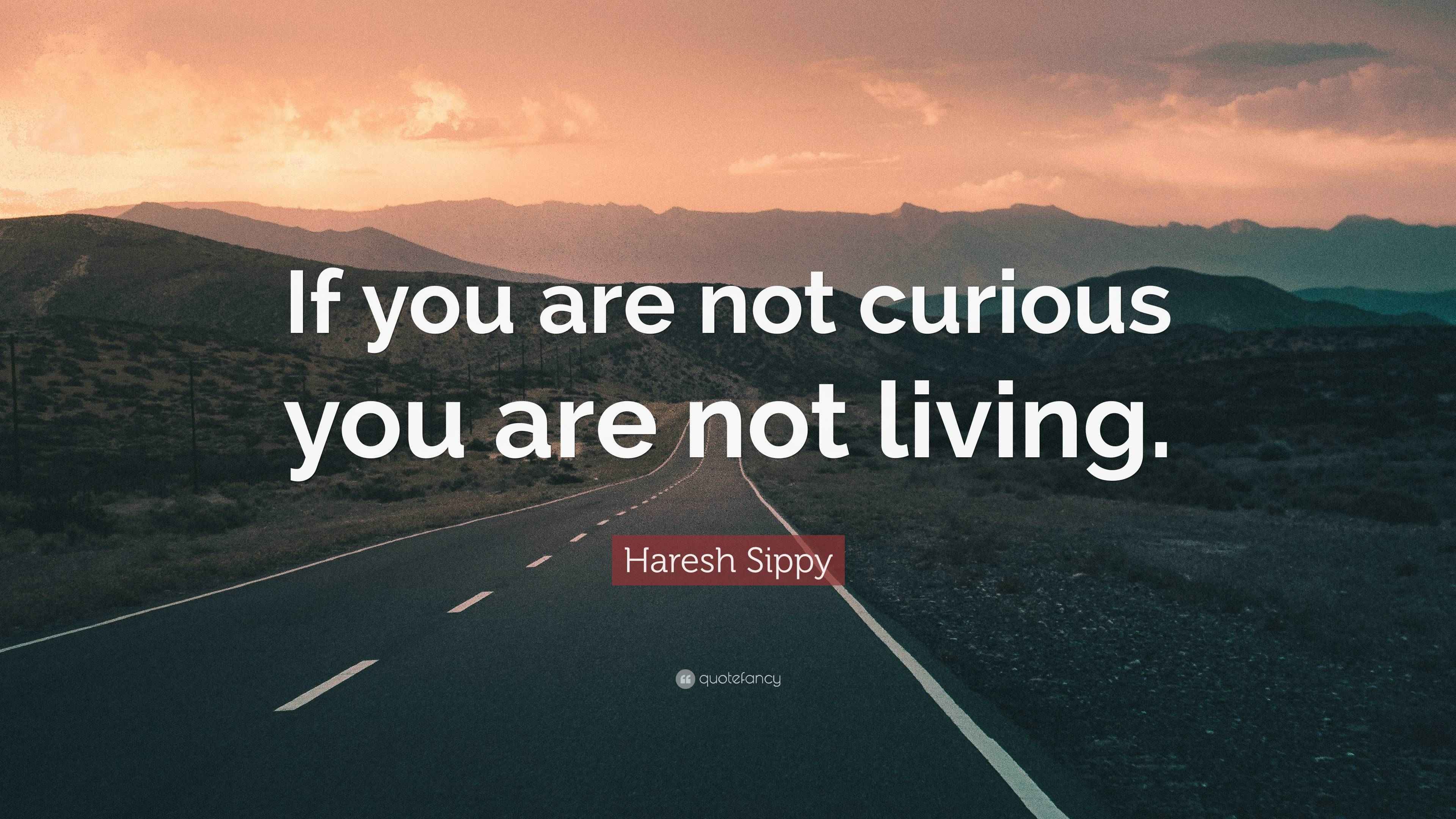 Haresh Sippy Quote: “If you are not curious you are not living.”