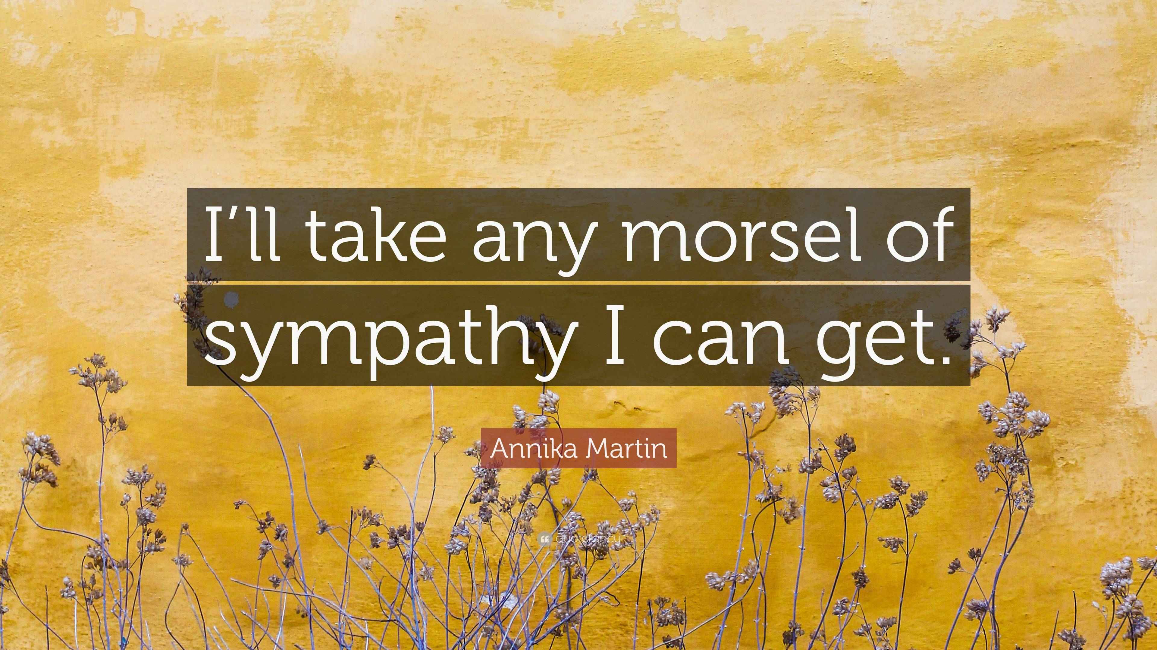 Annika Martin Quote: “I’ll take any morsel of sympathy I can get.”