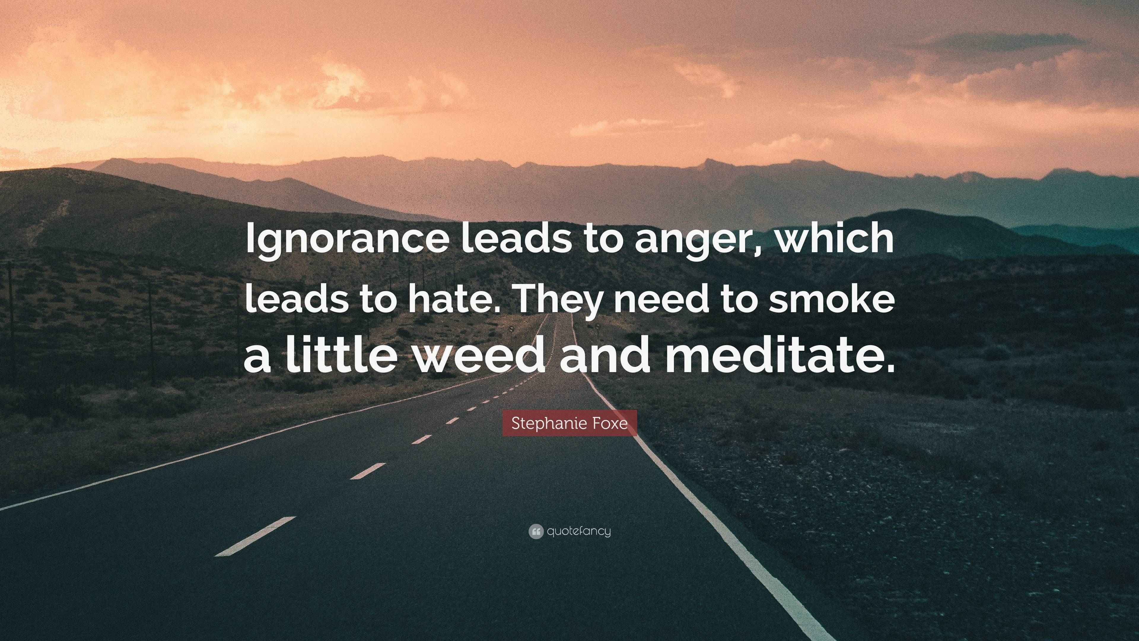 Stephanie Foxe Quote: “Ignorance leads to anger, which leads to hate ...