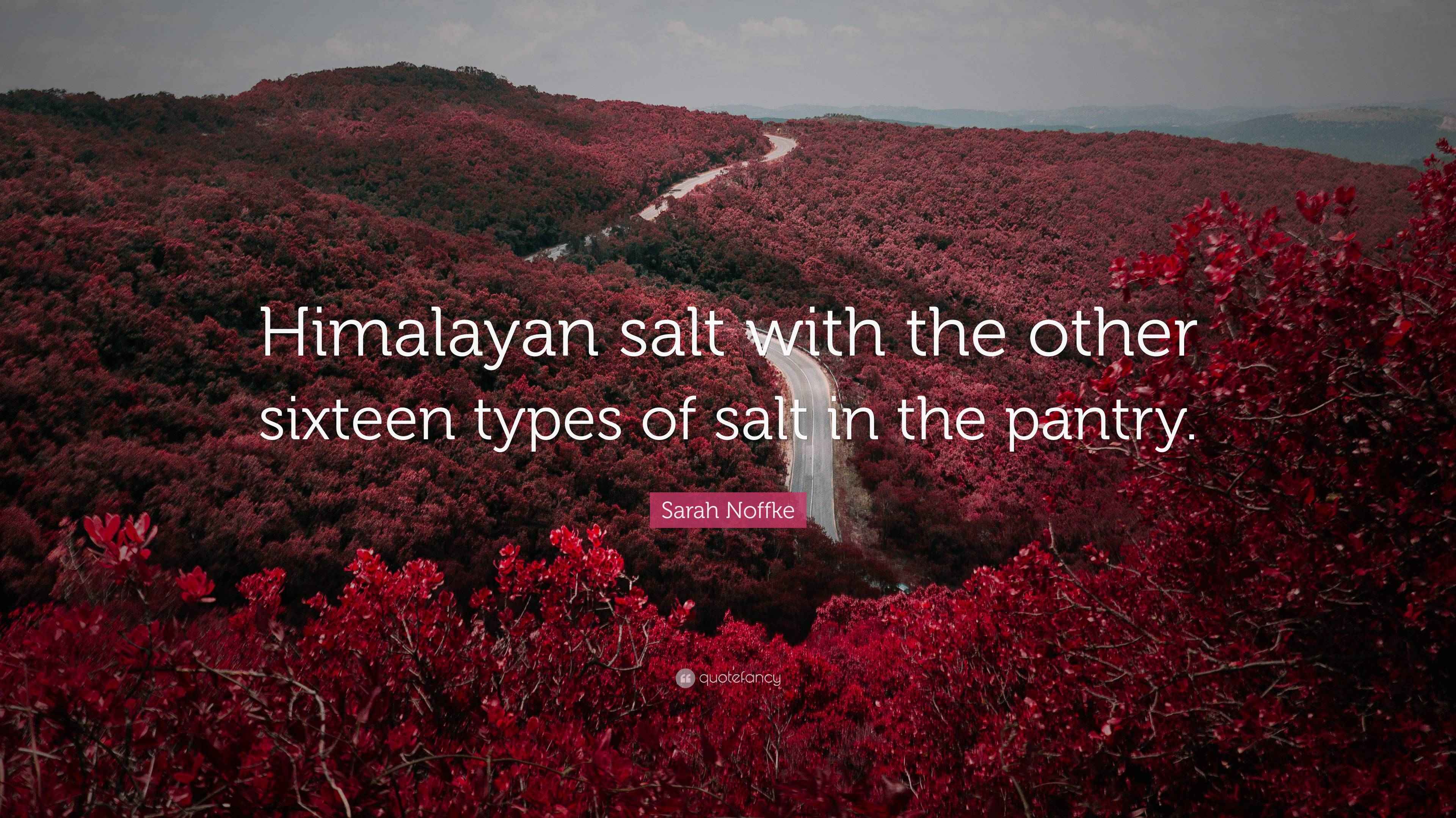 Sarah Noffke Quote: “Himalayan salt with the other sixteen types of ...