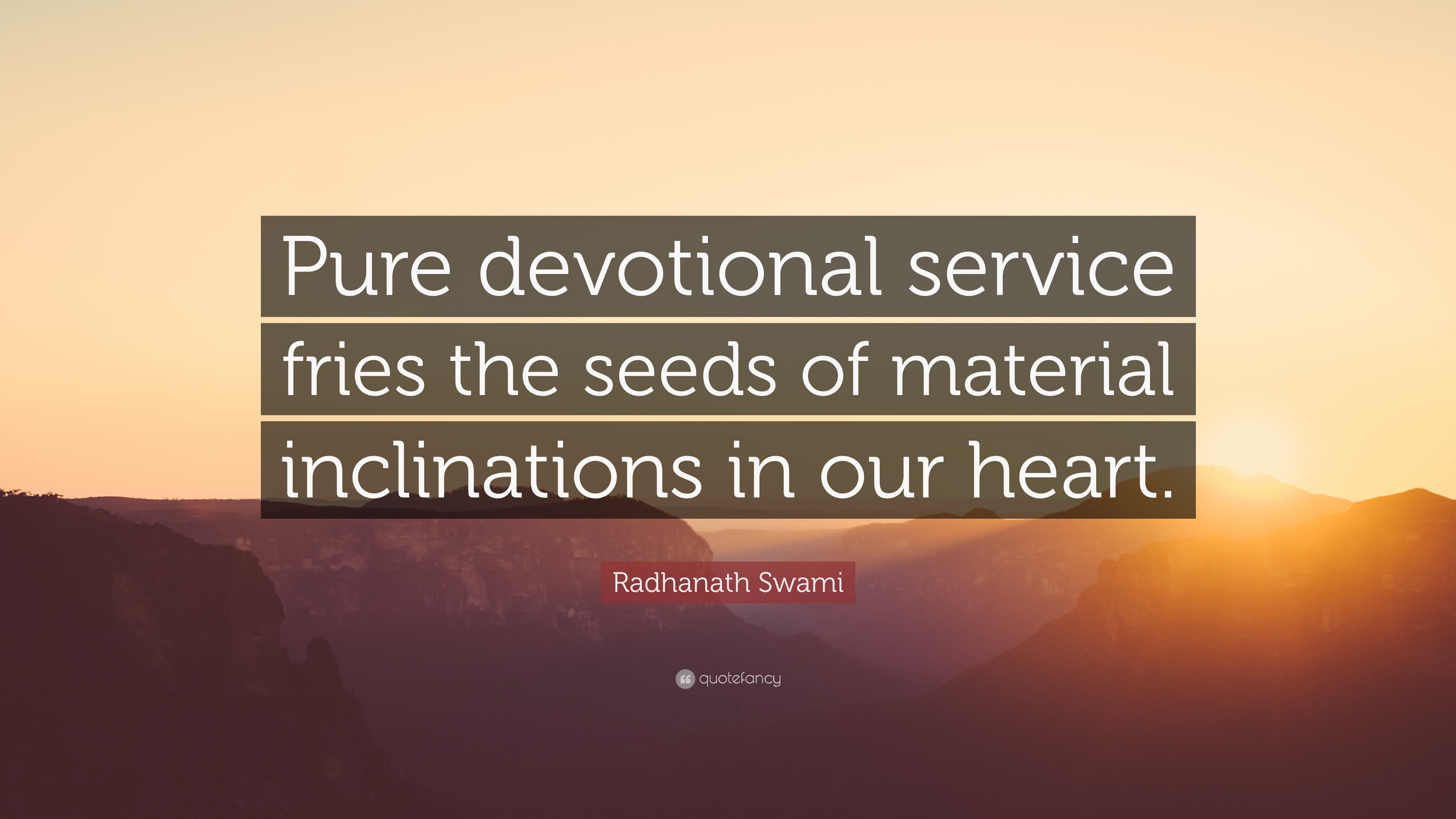 Radhanath Swami Quote: “Pure devotional service fries the seeds of ...