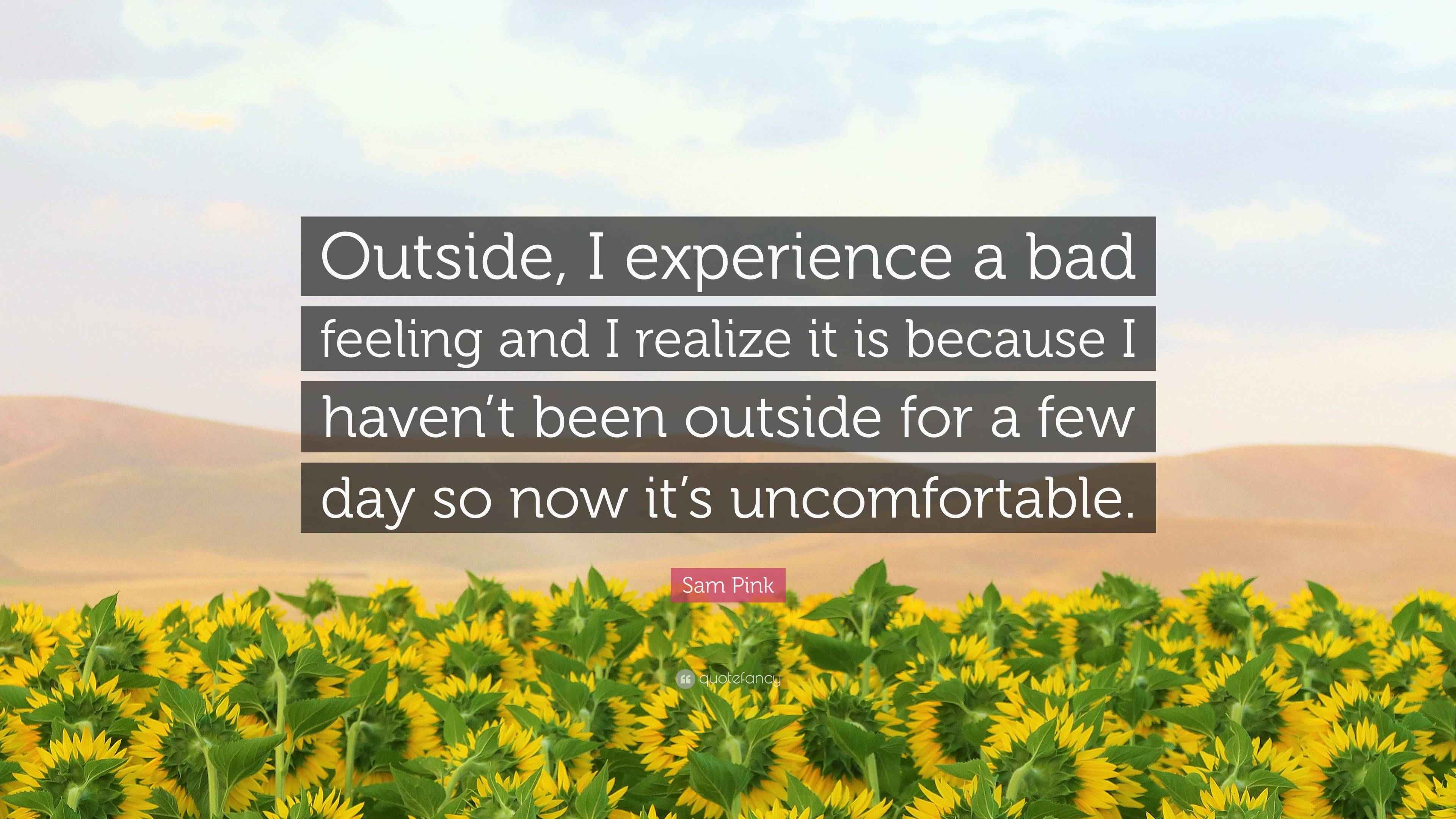 Sam Pink Quote: “Outside, I experience a bad feeling and I realize it ...