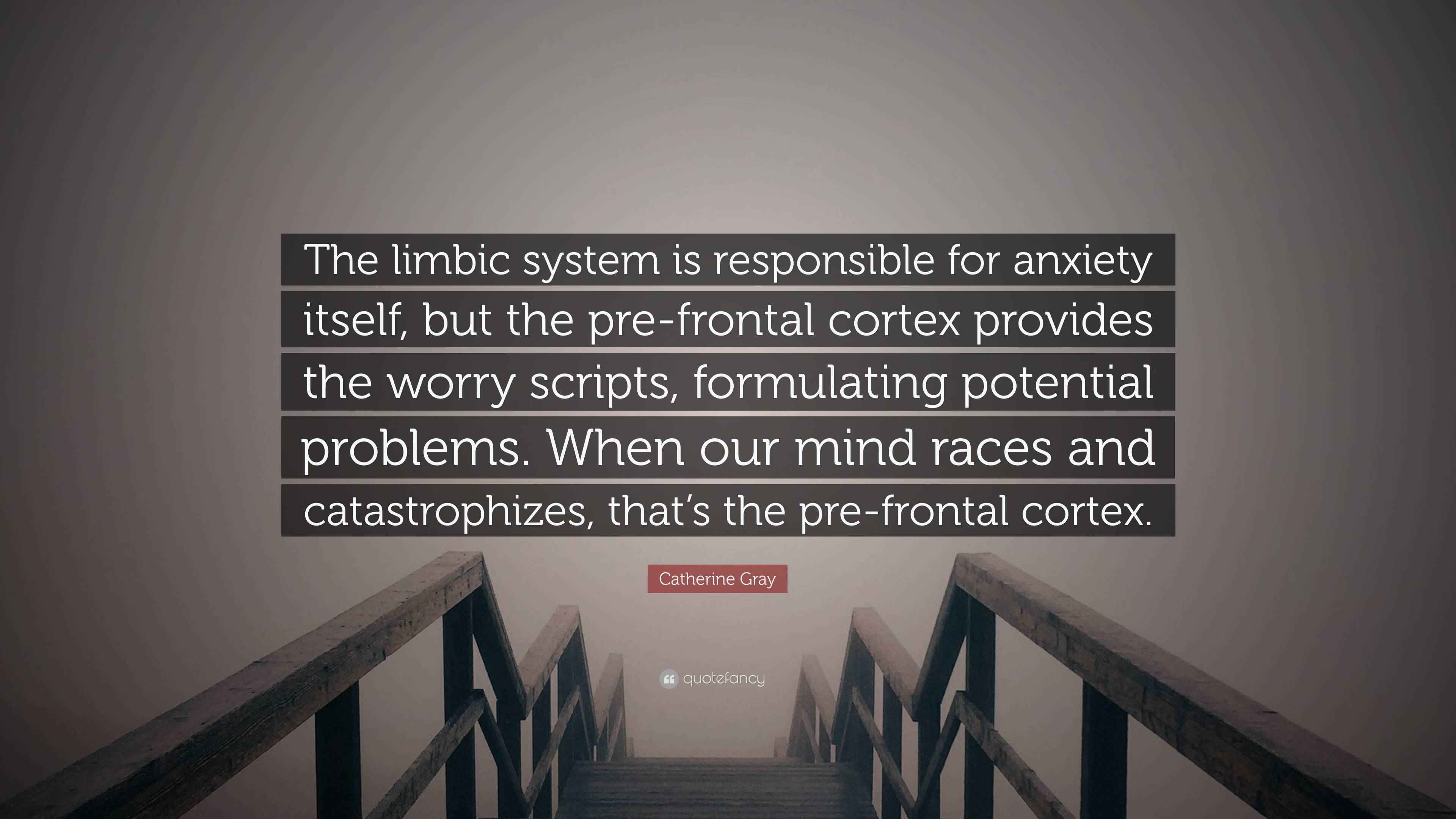 Catherine Gray Quote: “The limbic system is responsible for anxiety ...