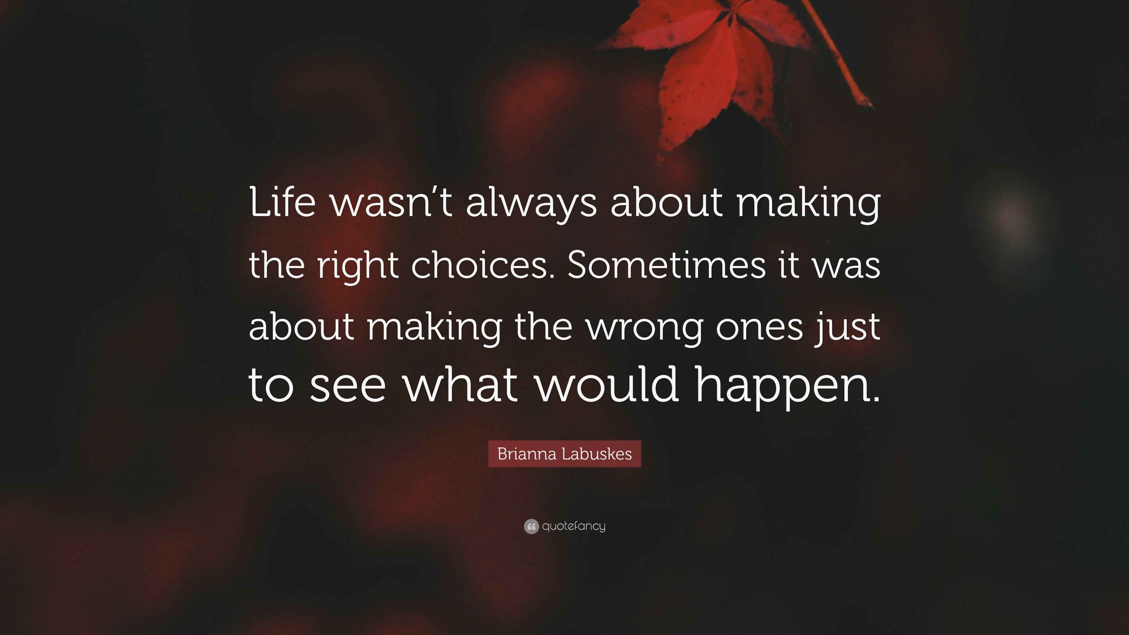 Brianna Labuskes Quote: “Life wasn’t always about making the right ...