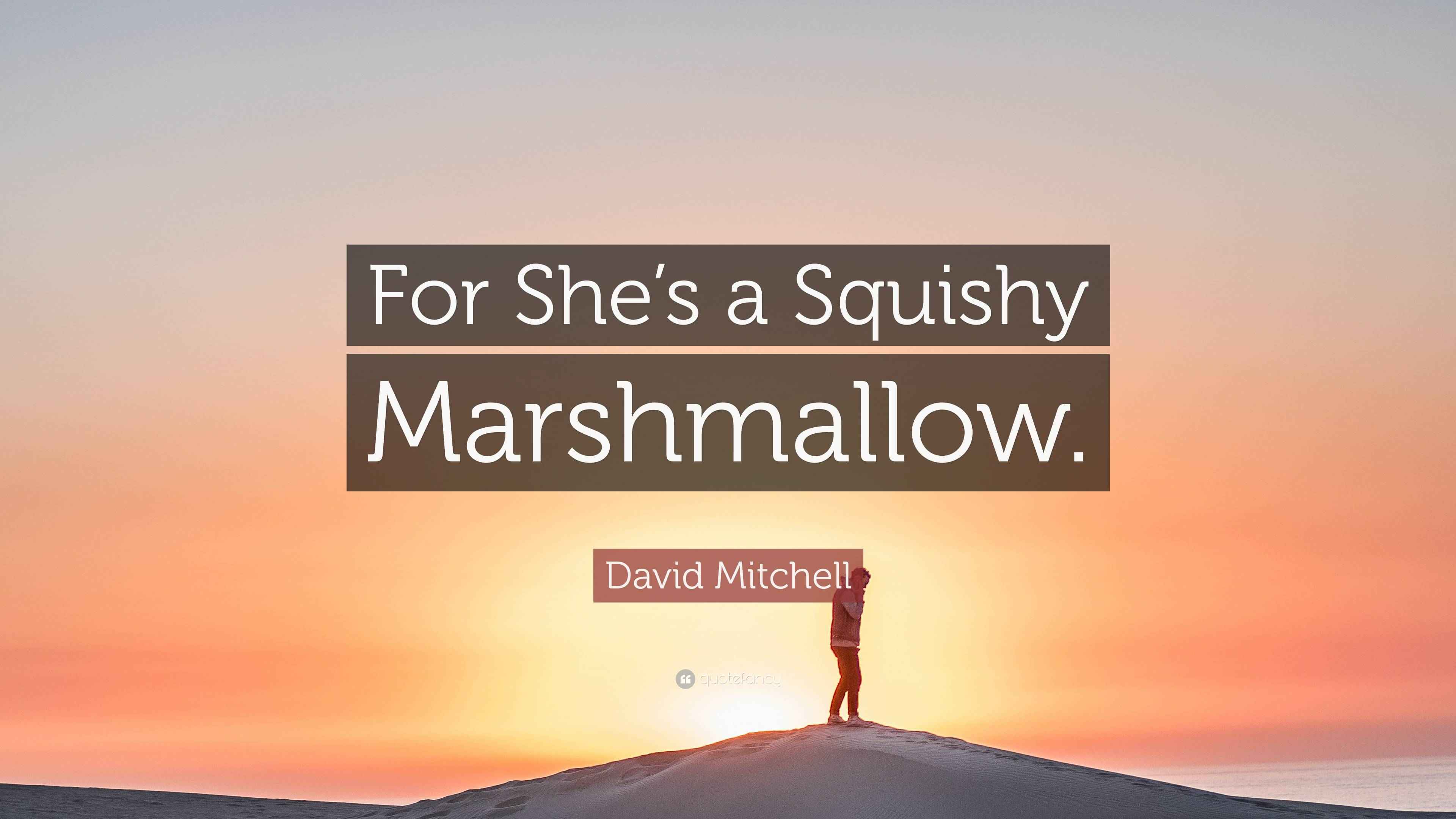 David Mitchell Quote: “For She’s a Squishy Marshmallow.”