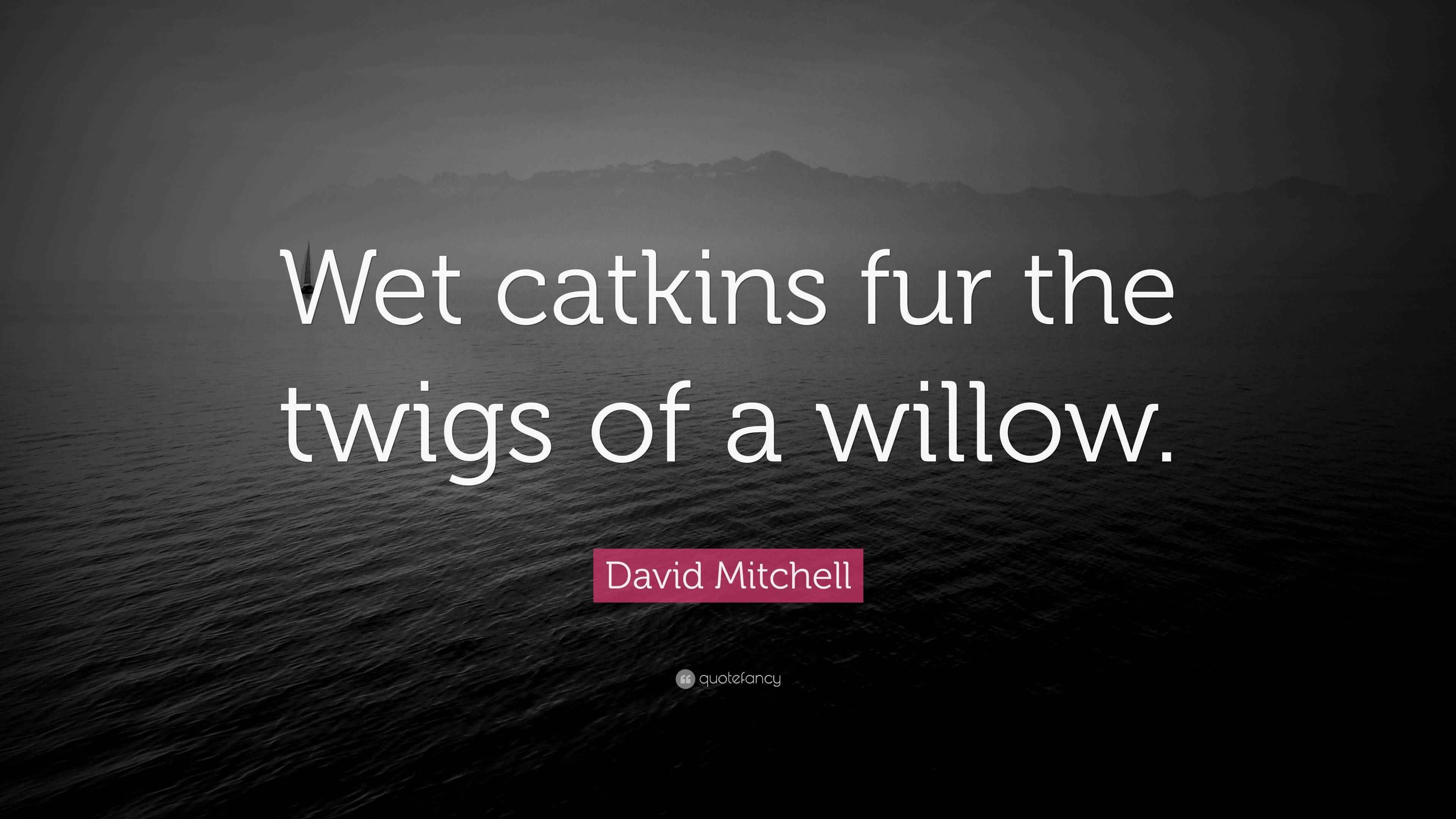 David Mitchell Quote: “Wet catkins fur the twigs of a willow.”