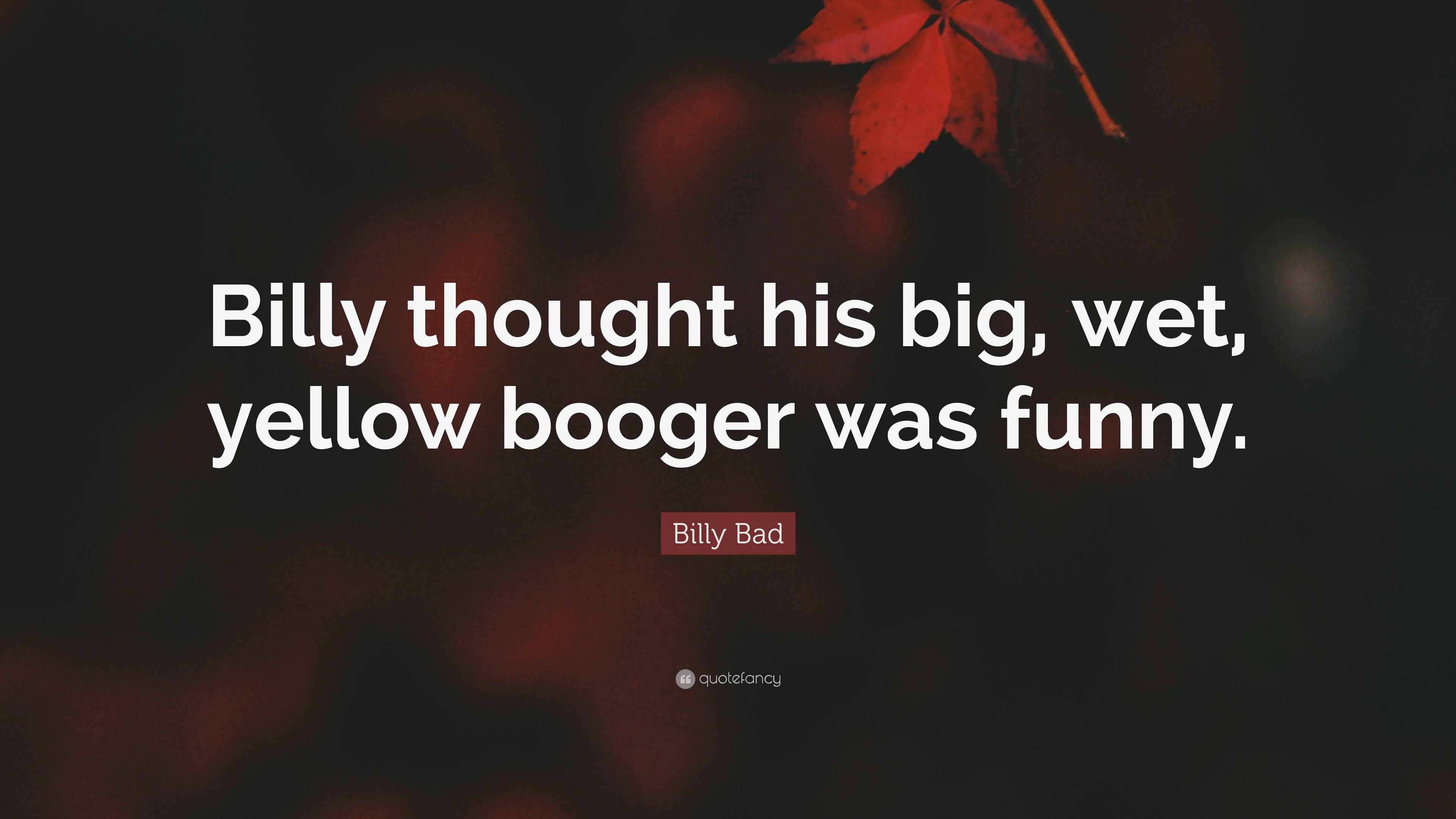 Billy Bad Quote: “Billy thought his big, wet, yellow booger was funny.”