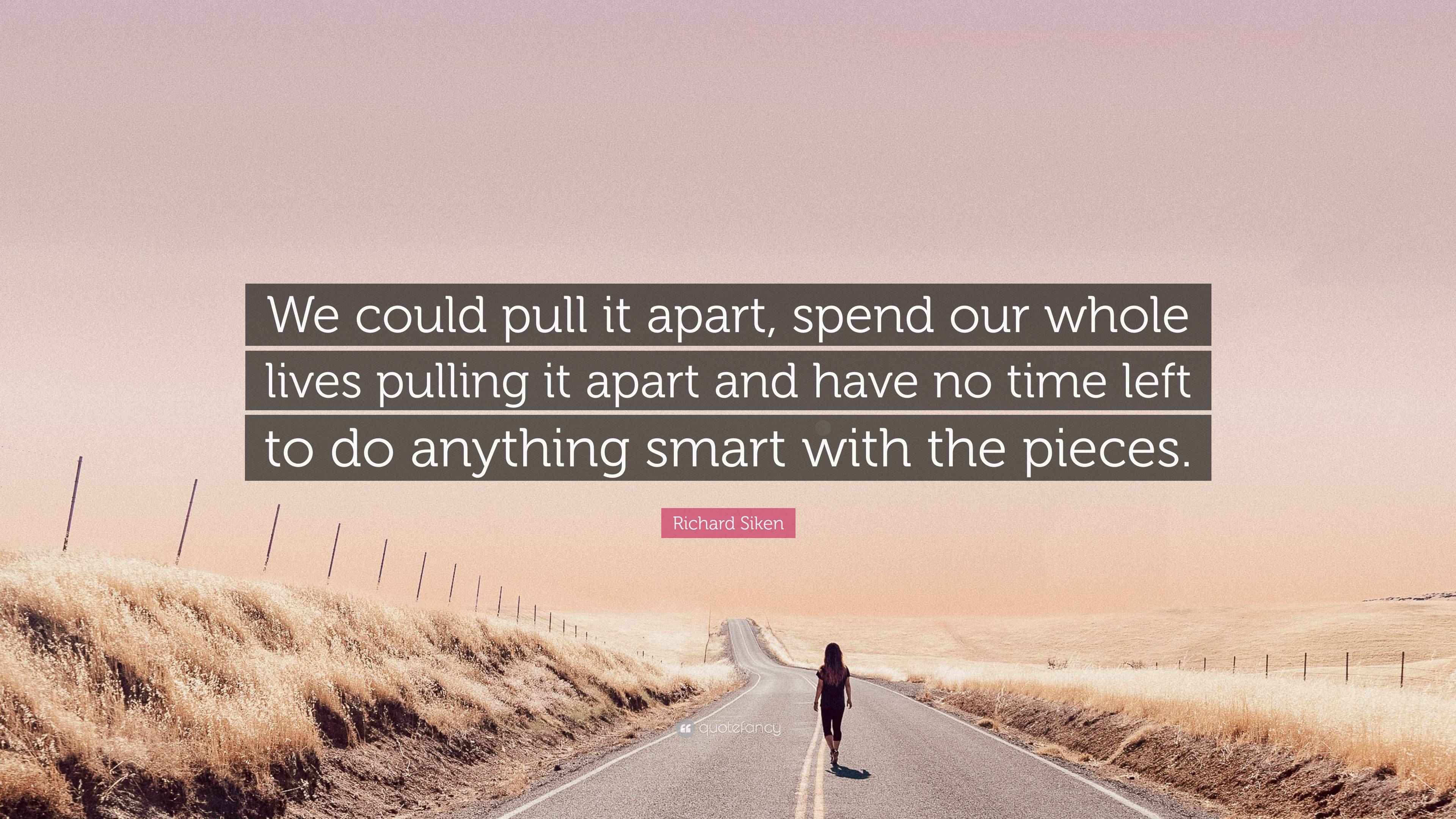 Richard Siken Quote: “We could pull it apart, spend our whole lives ...