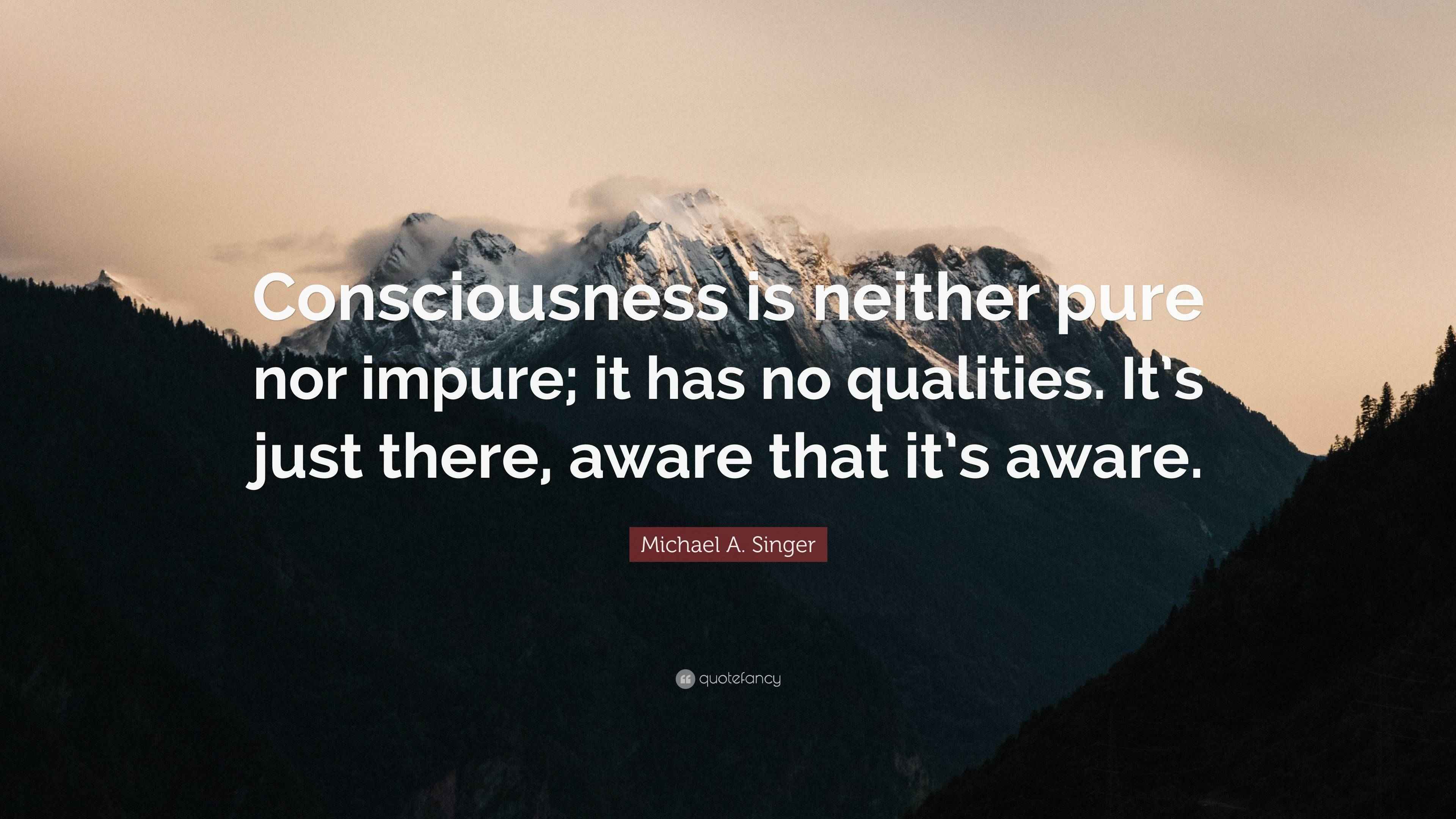 Michael A. Singer Quote: “Consciousness is neither pure nor impure; it ...