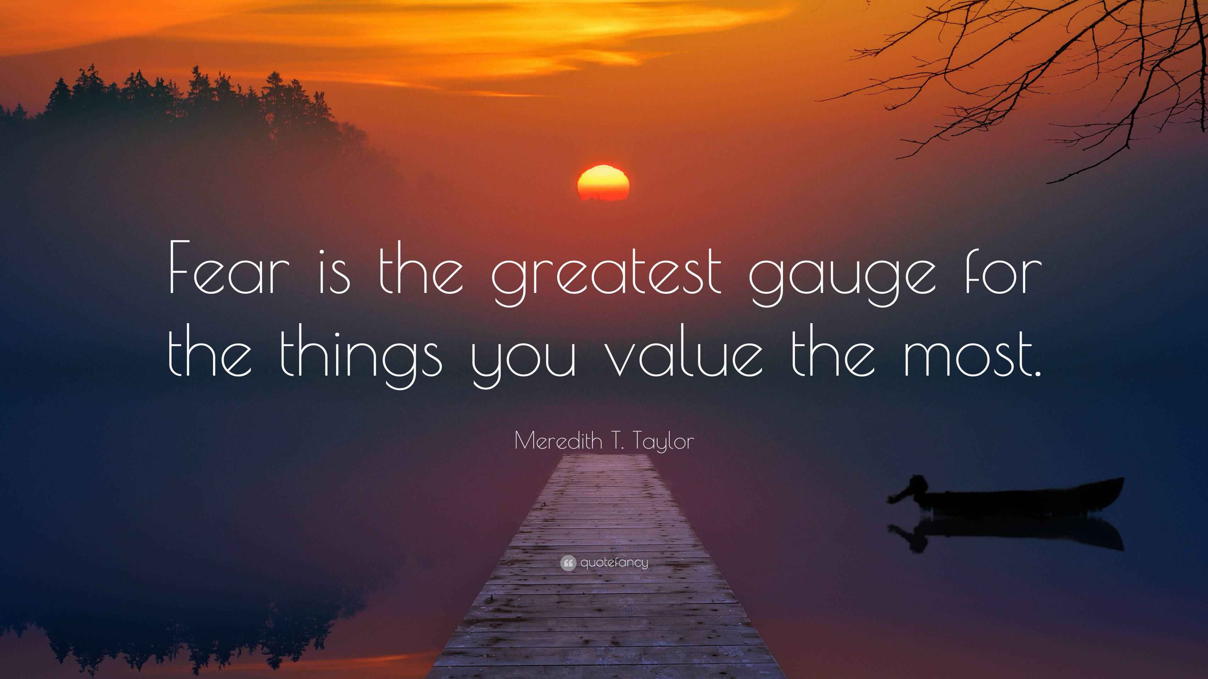 Meredith T. Taylor Quote: “Fear is the greatest gauge for the things ...