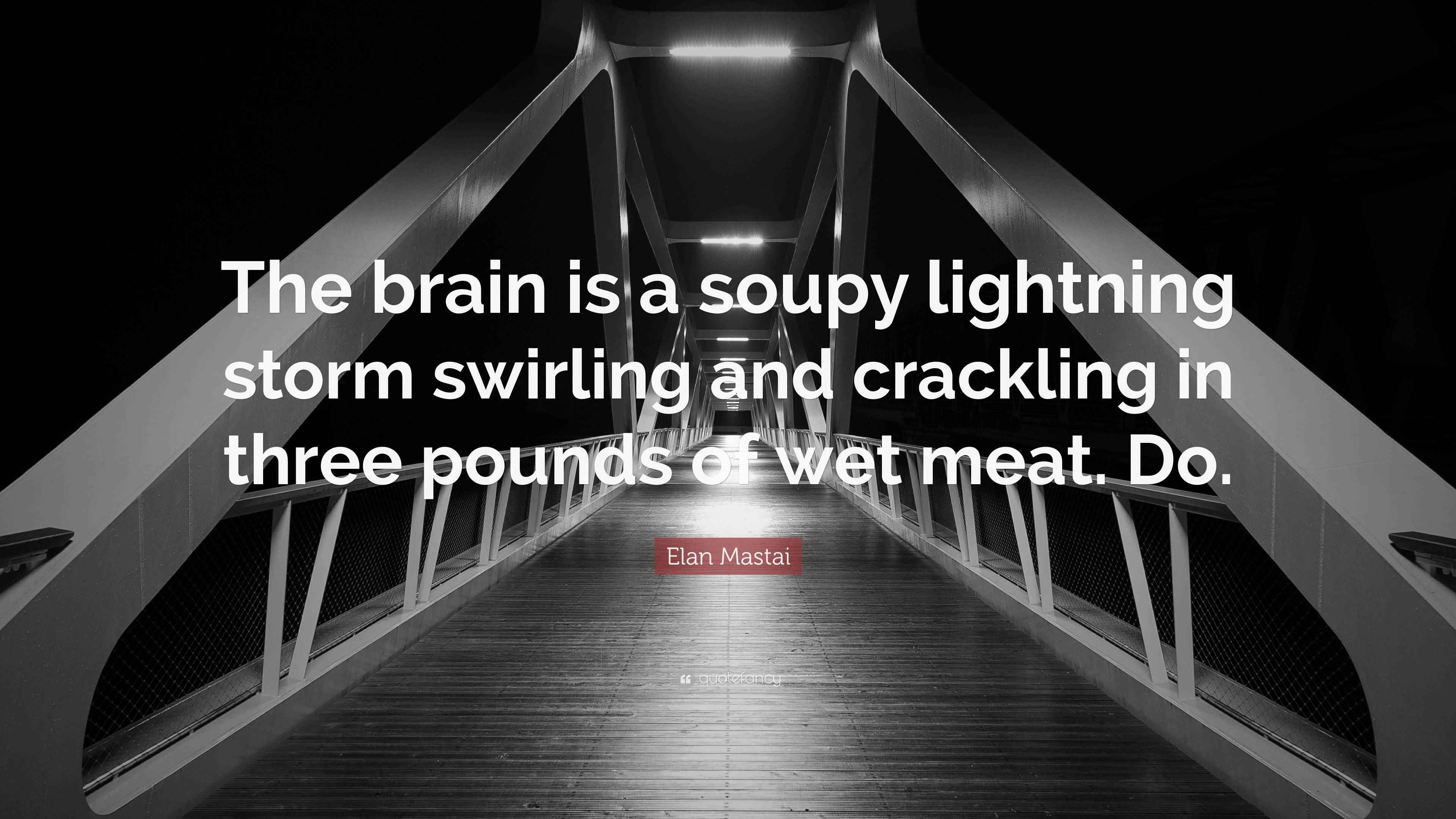 Elan Mastai Quote: “The brain is a soupy lightning storm swirling and ...