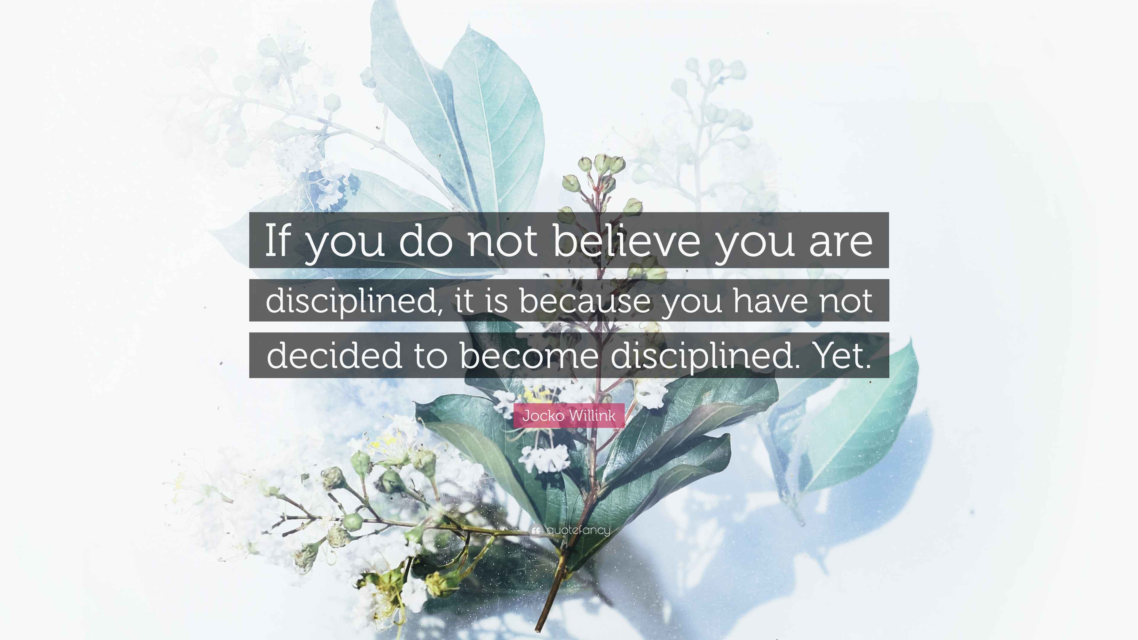 Jocko Willink Quote: “If you do not believe you are disciplined, it is ...