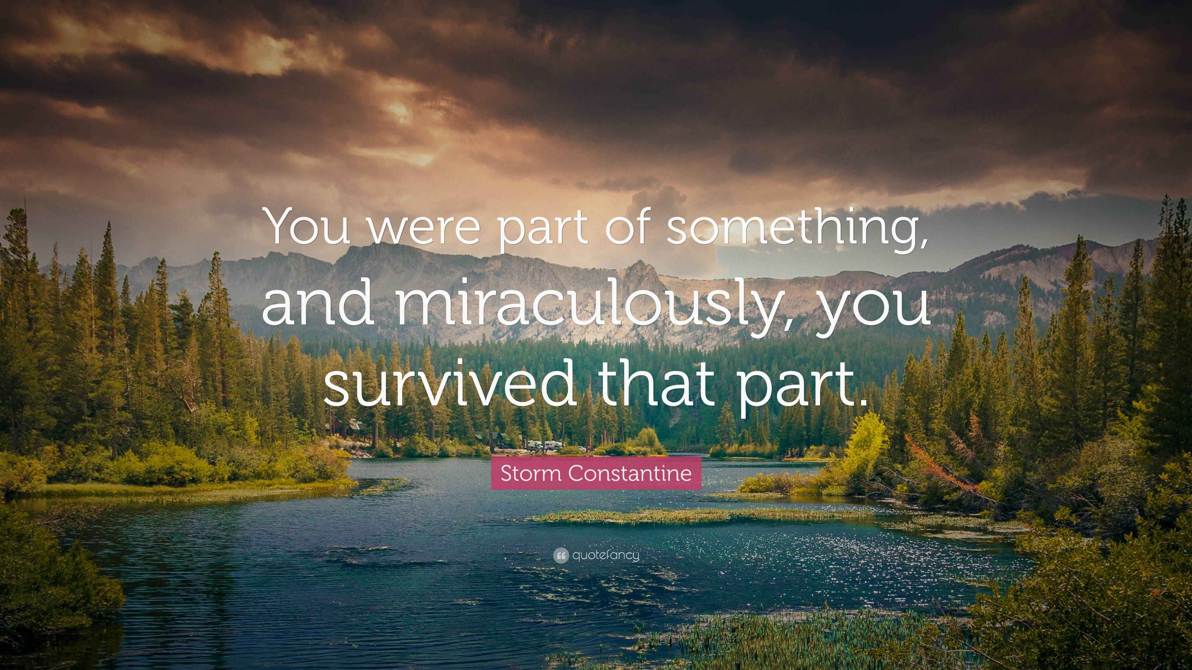 Storm Constantine Quote: “You were part of something, and miraculously ...