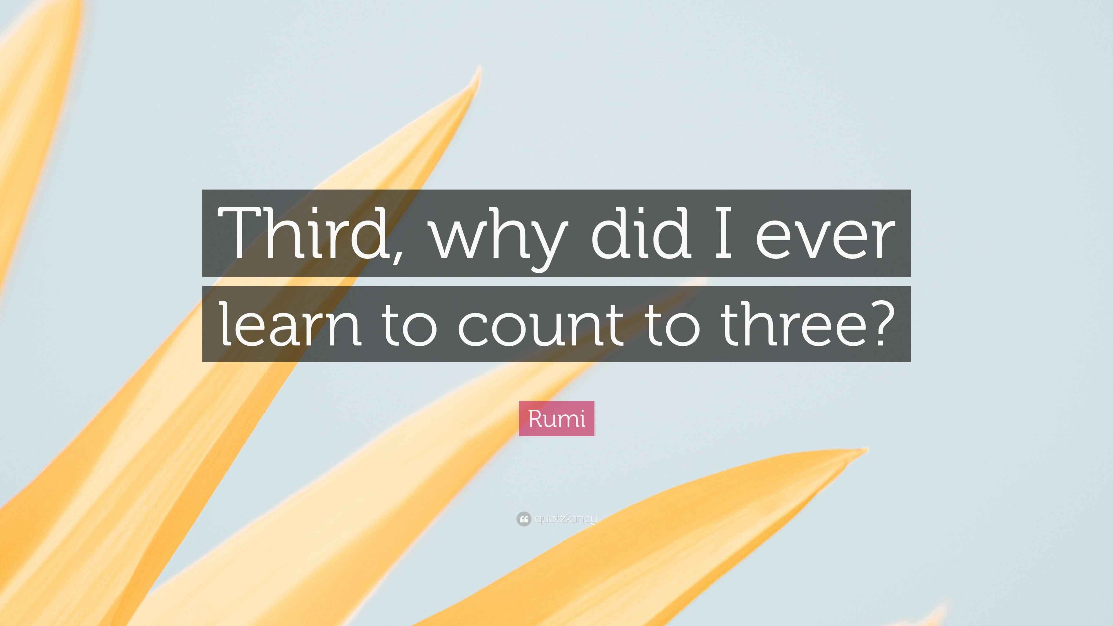 Rumi Quote: “Third, why did I ever learn to count to three?”