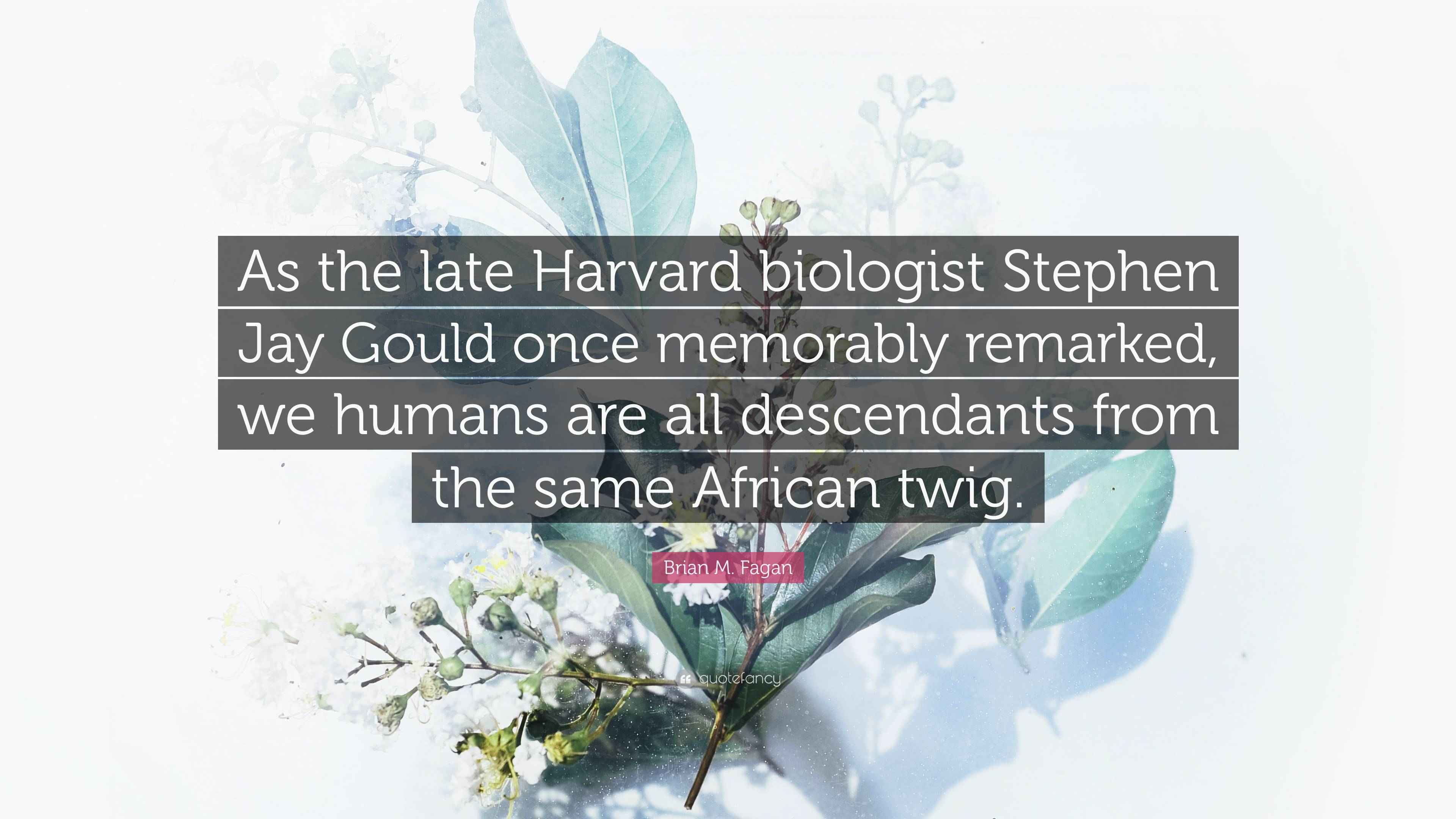 Brian M. Fagan Quote: “As the late Harvard biologist Stephen Jay Gould ...