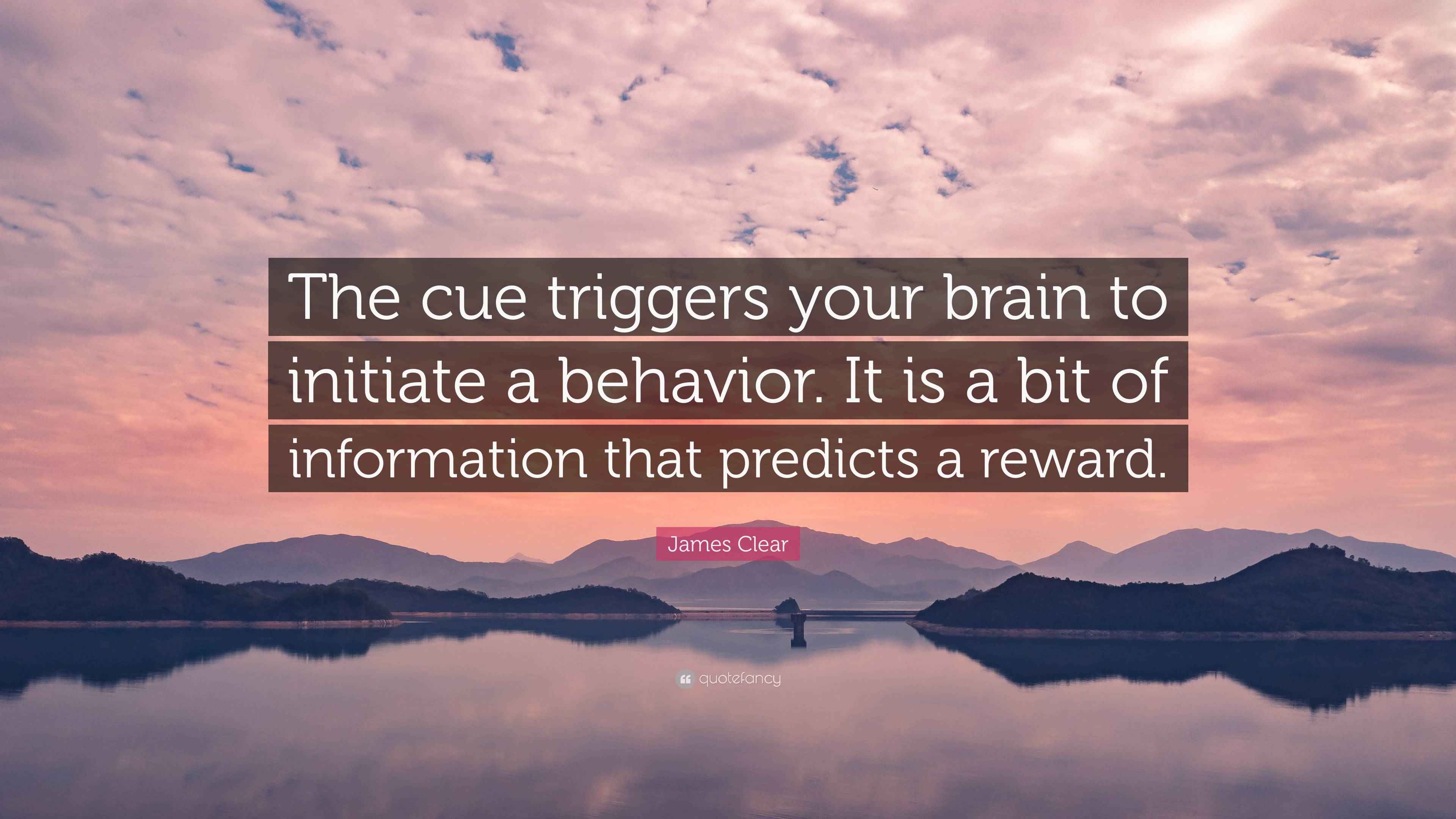 James Clear Quote: “The cue triggers your brain to initiate a behavior ...