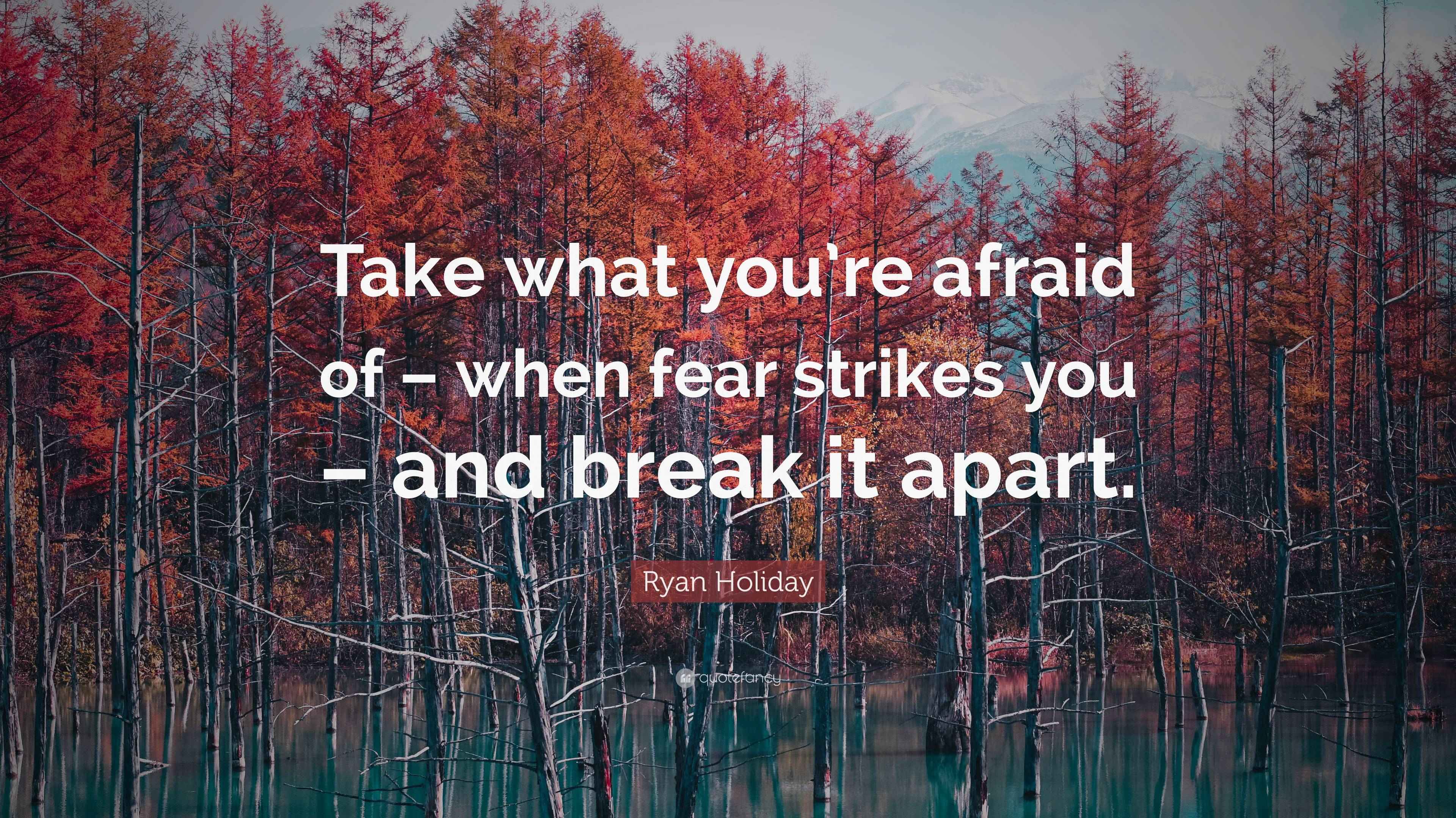 Ryan Holiday Quote: “Take what you’re afraid of – when fear strikes you ...
