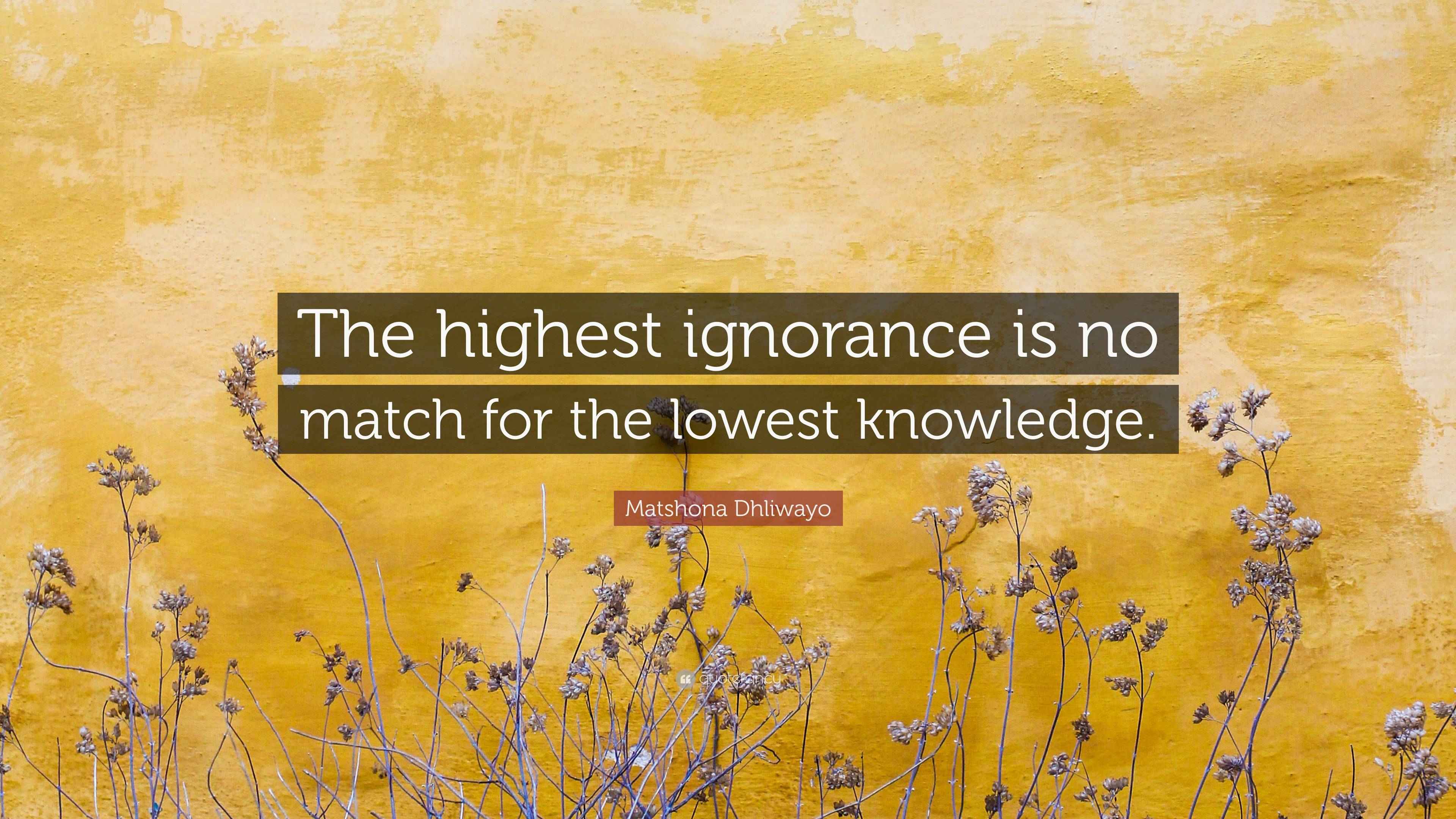 Matshona Dhliwayo Quote The Highest Ignorance Is No Match For The