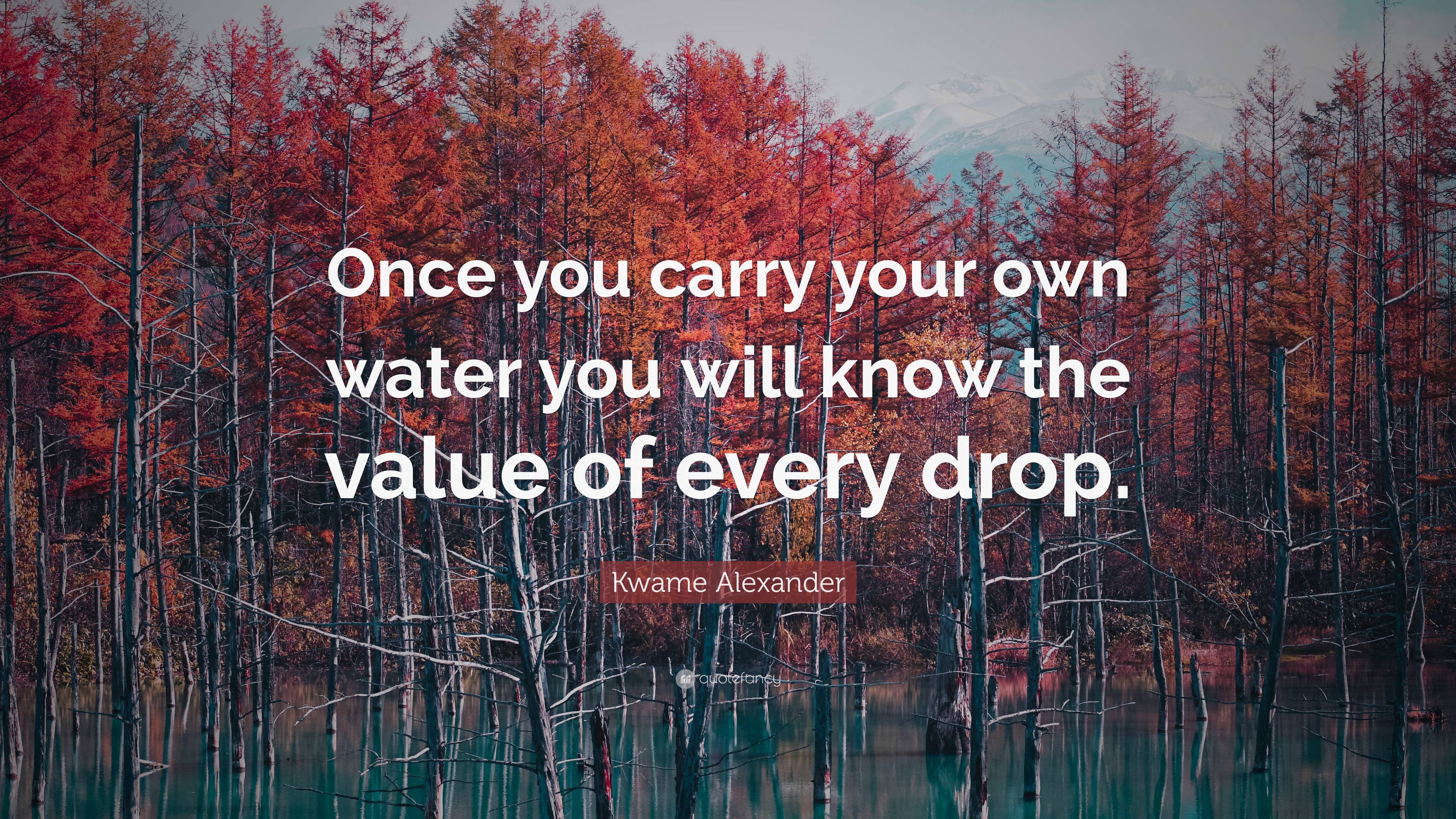 Kwame Alexander Quote: “Once you carry your own water you will know the ...