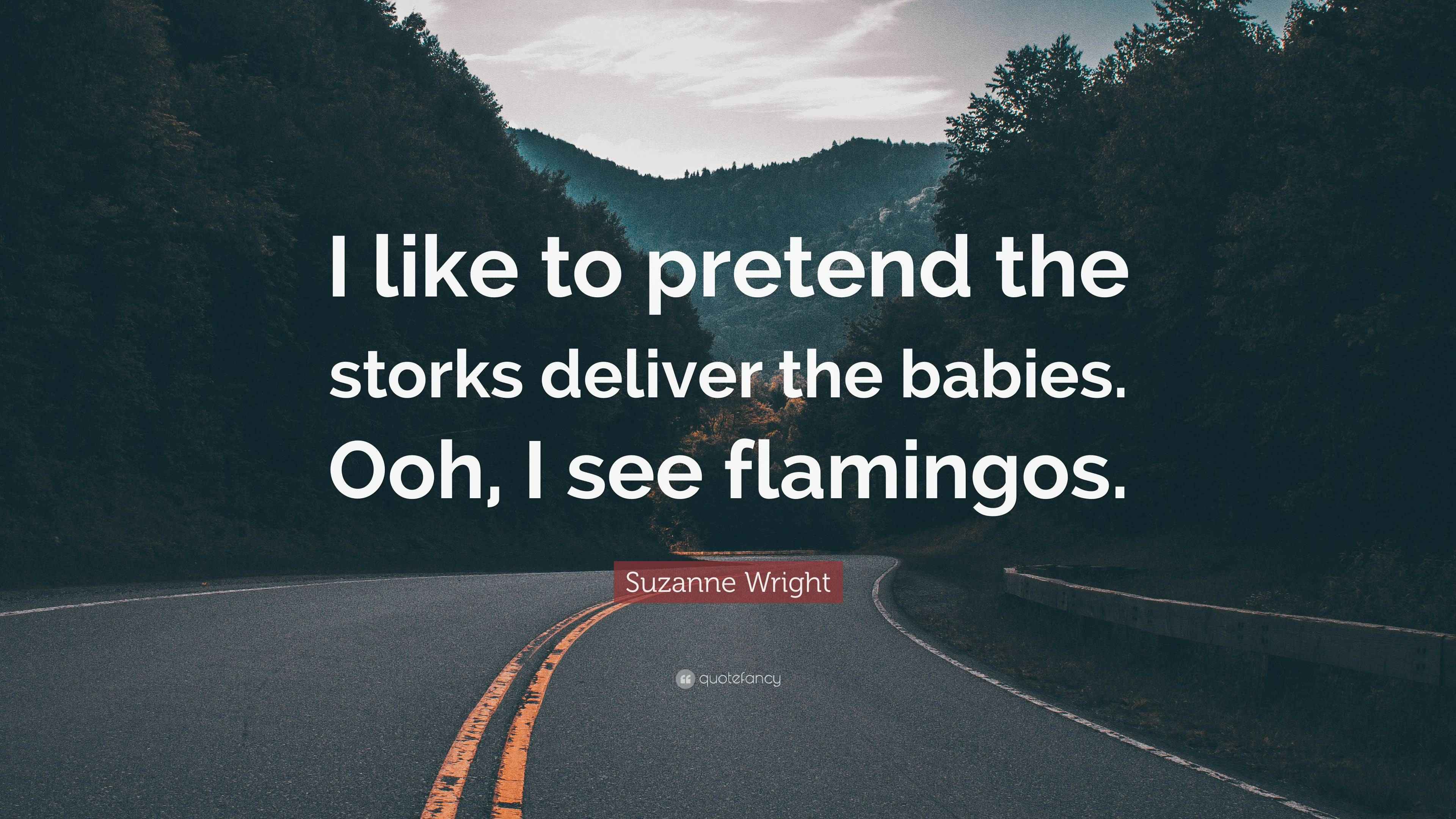 Suzanne Wright Quote: “I like to pretend the storks deliver the babies ...