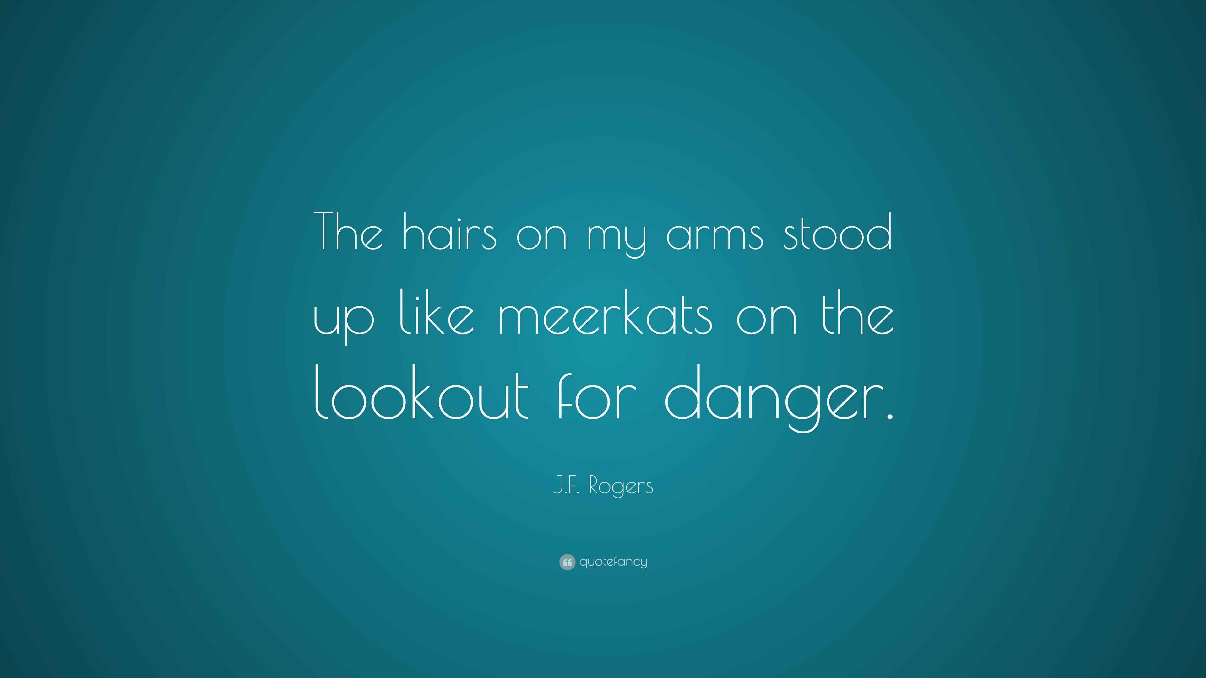J.F. Rogers Quote: “The hairs on my arms stood up like meerkats on the ...