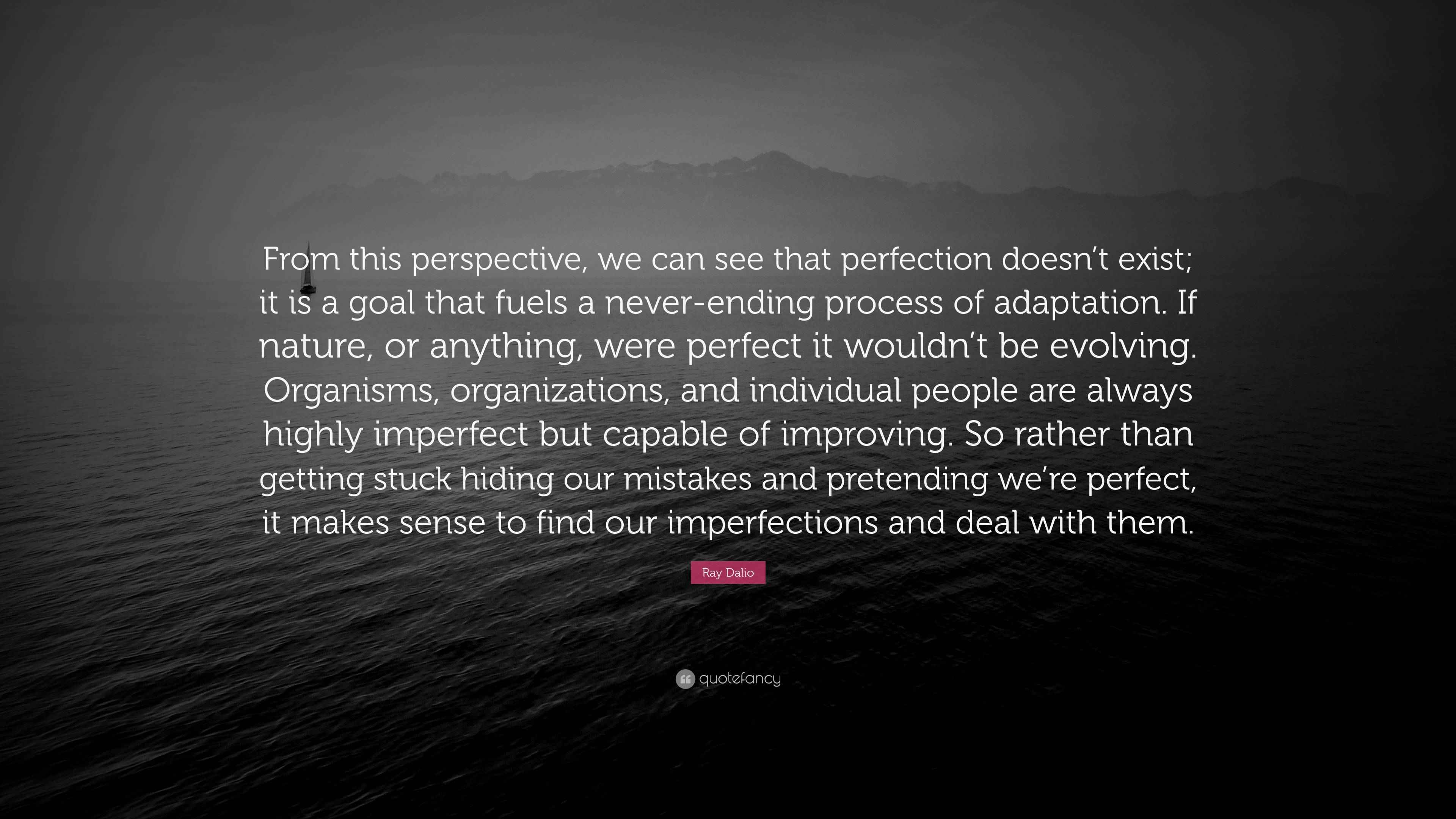 Ray Dalio Quote: “From this perspective, we can see that perfection ...