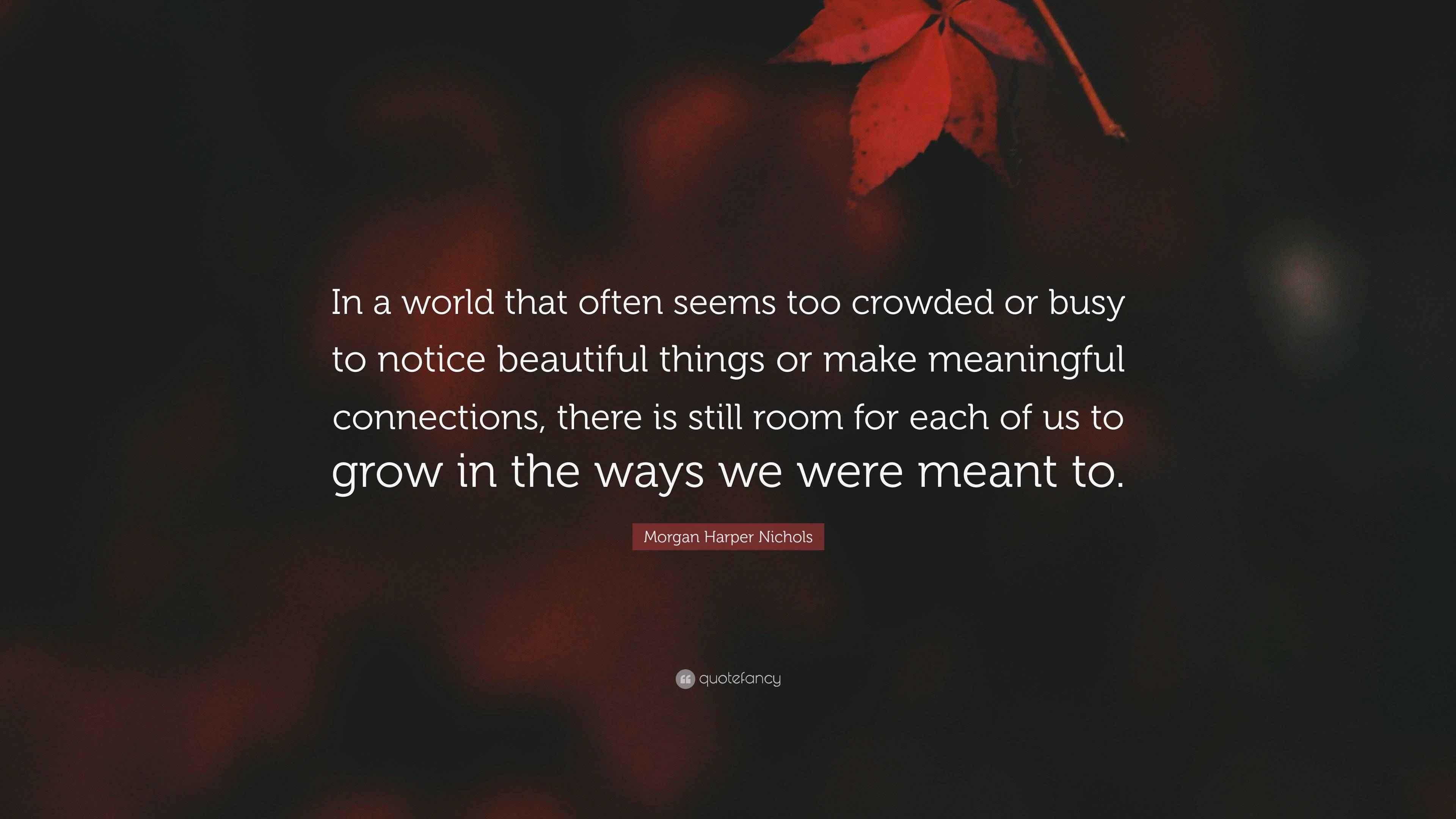 Morgan Harper Nichols Quote: “In a world that often seems too crowded ...