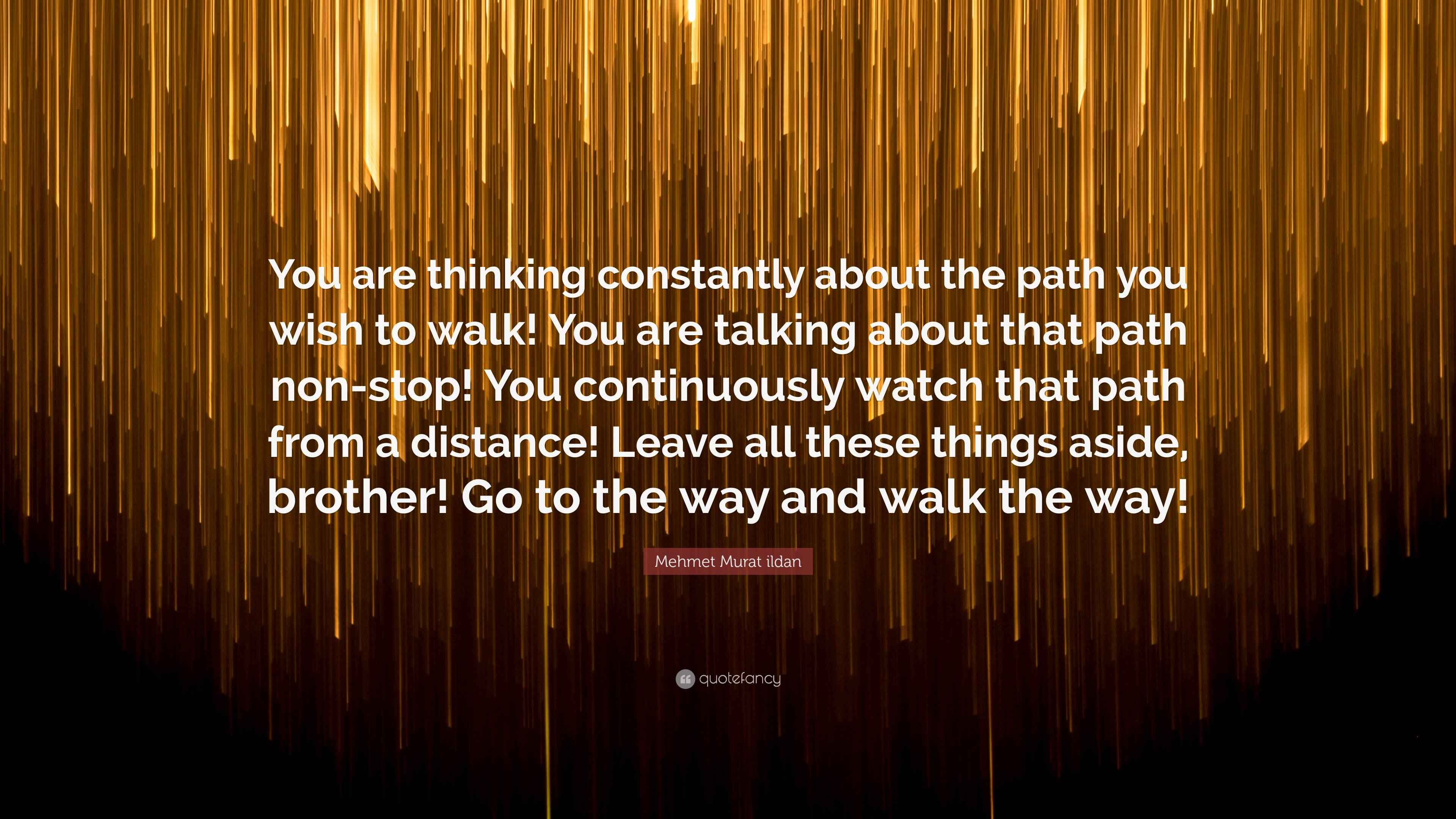 Mehmet Murat ildan Quote: “You are thinking constantly about the path ...