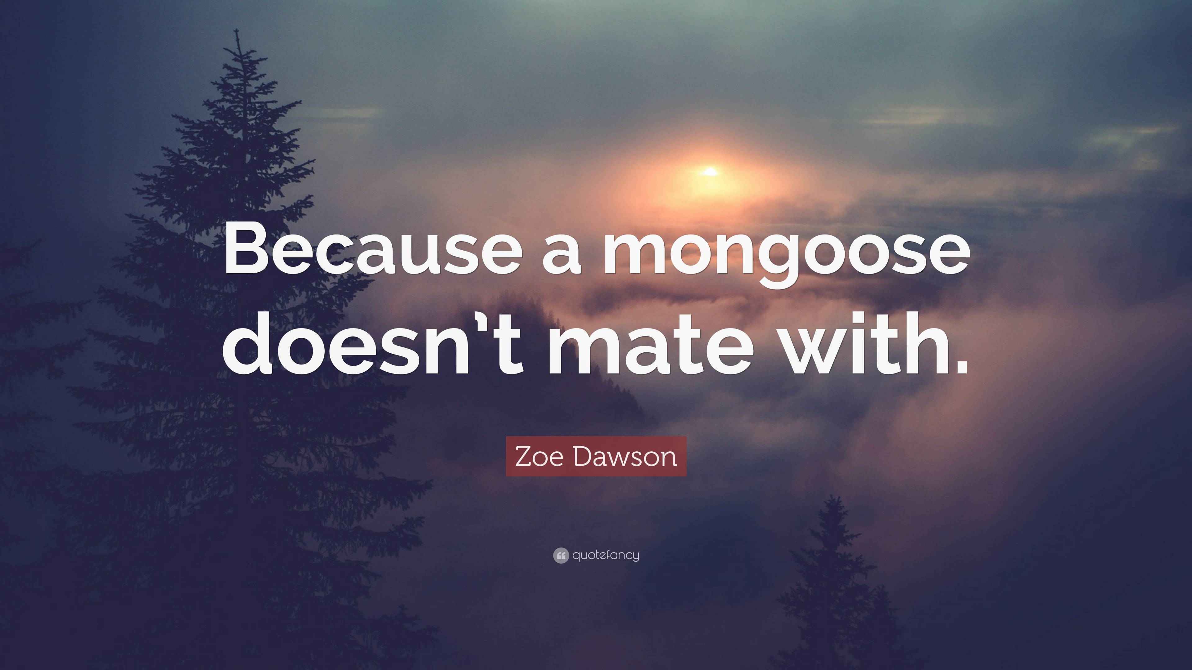 Zoe Dawson Quote: “Because a mongoose doesn’t mate with.”