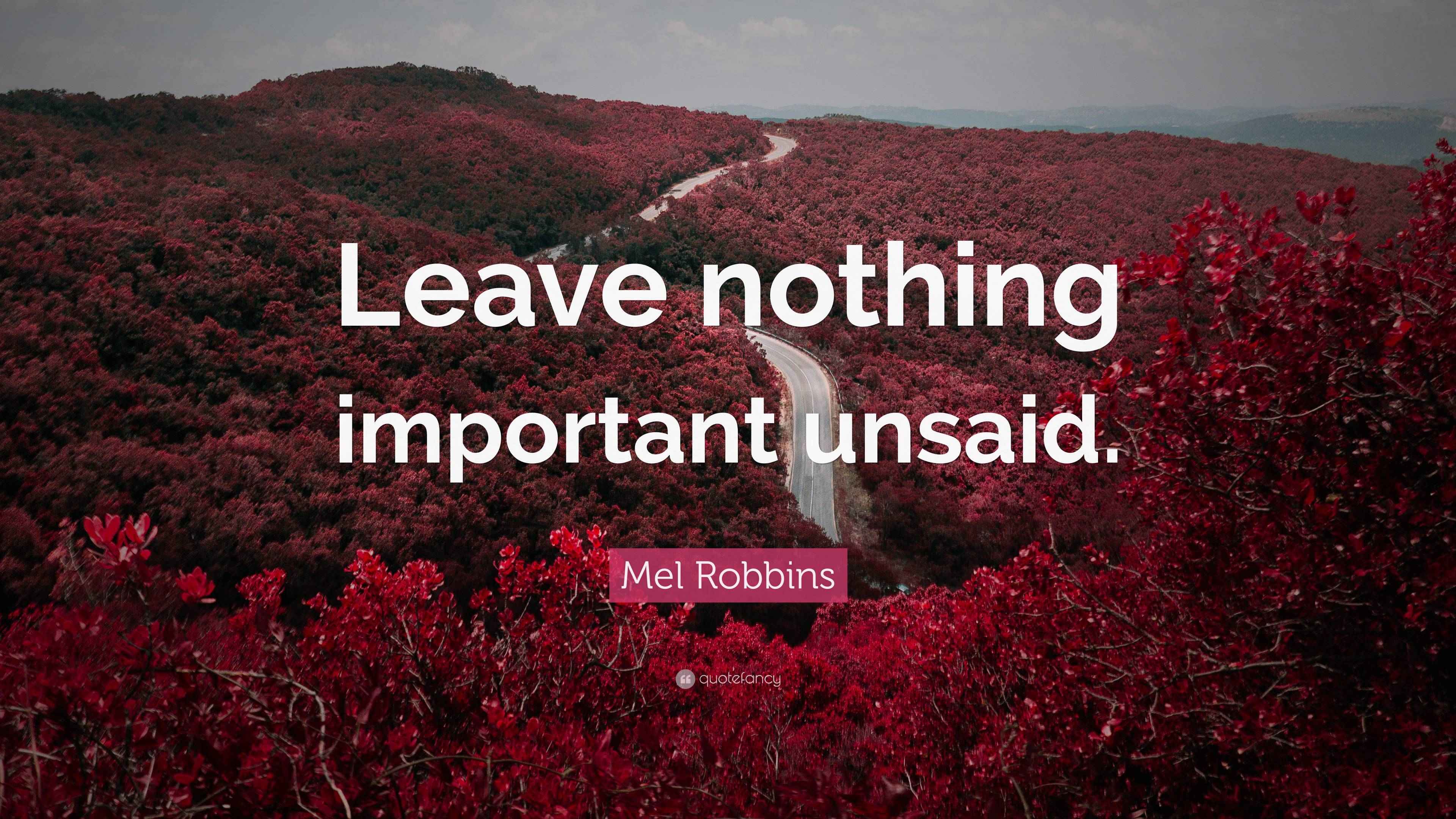 Mel Robbins Quote: “Leave nothing important unsaid.”