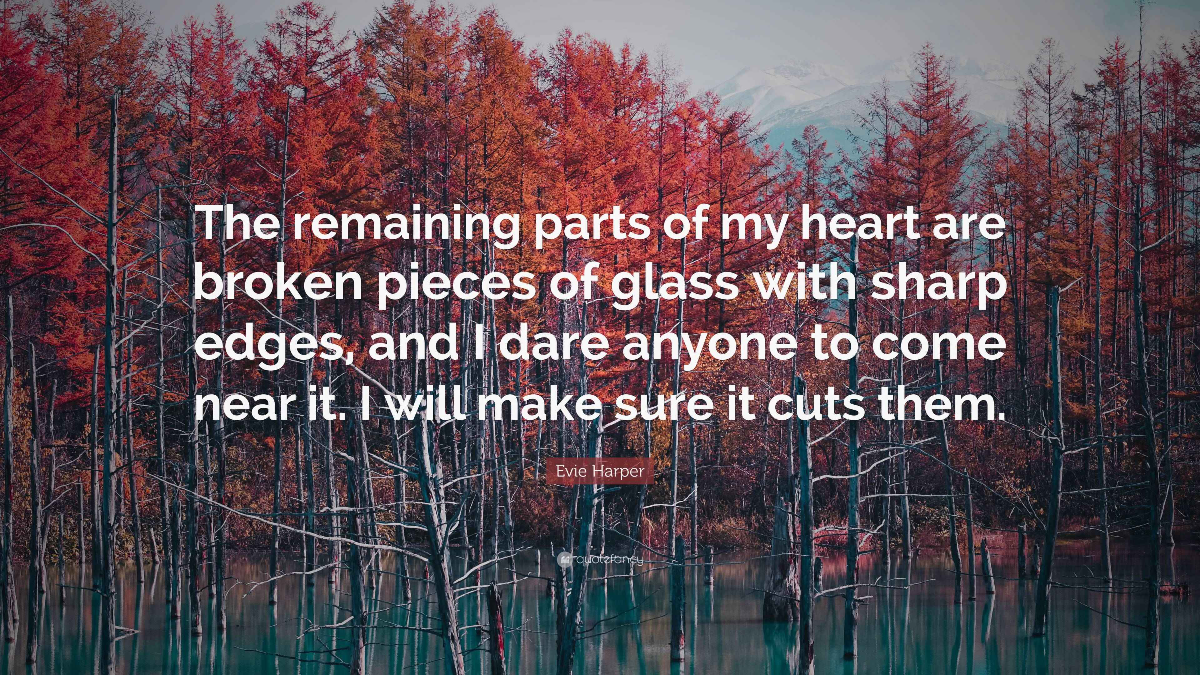 Evie Harper Quote: “The remaining parts of my heart are broken pieces ...