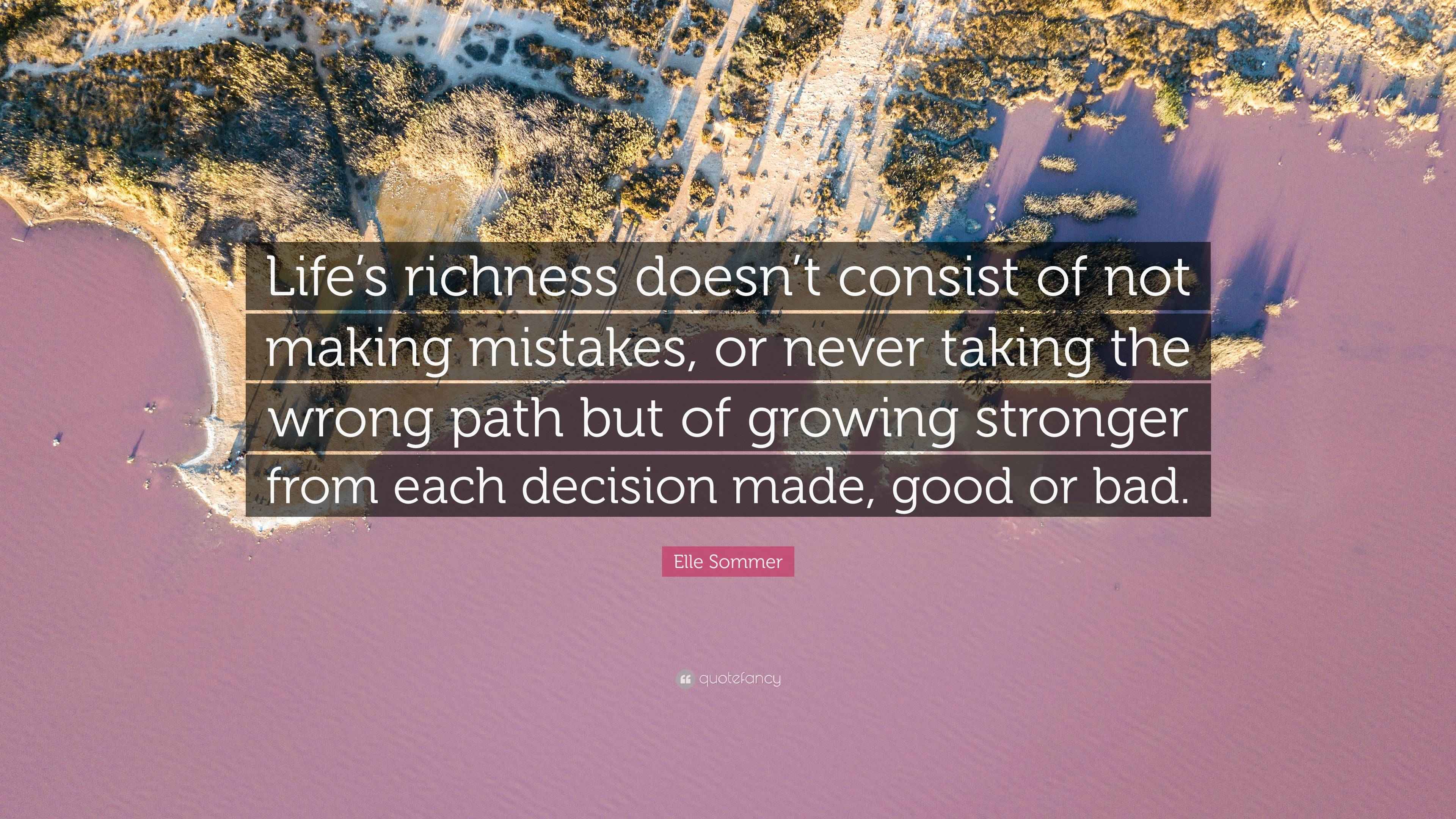 Elle Sommer Quote: “Life’s richness doesn’t consist of not making ...