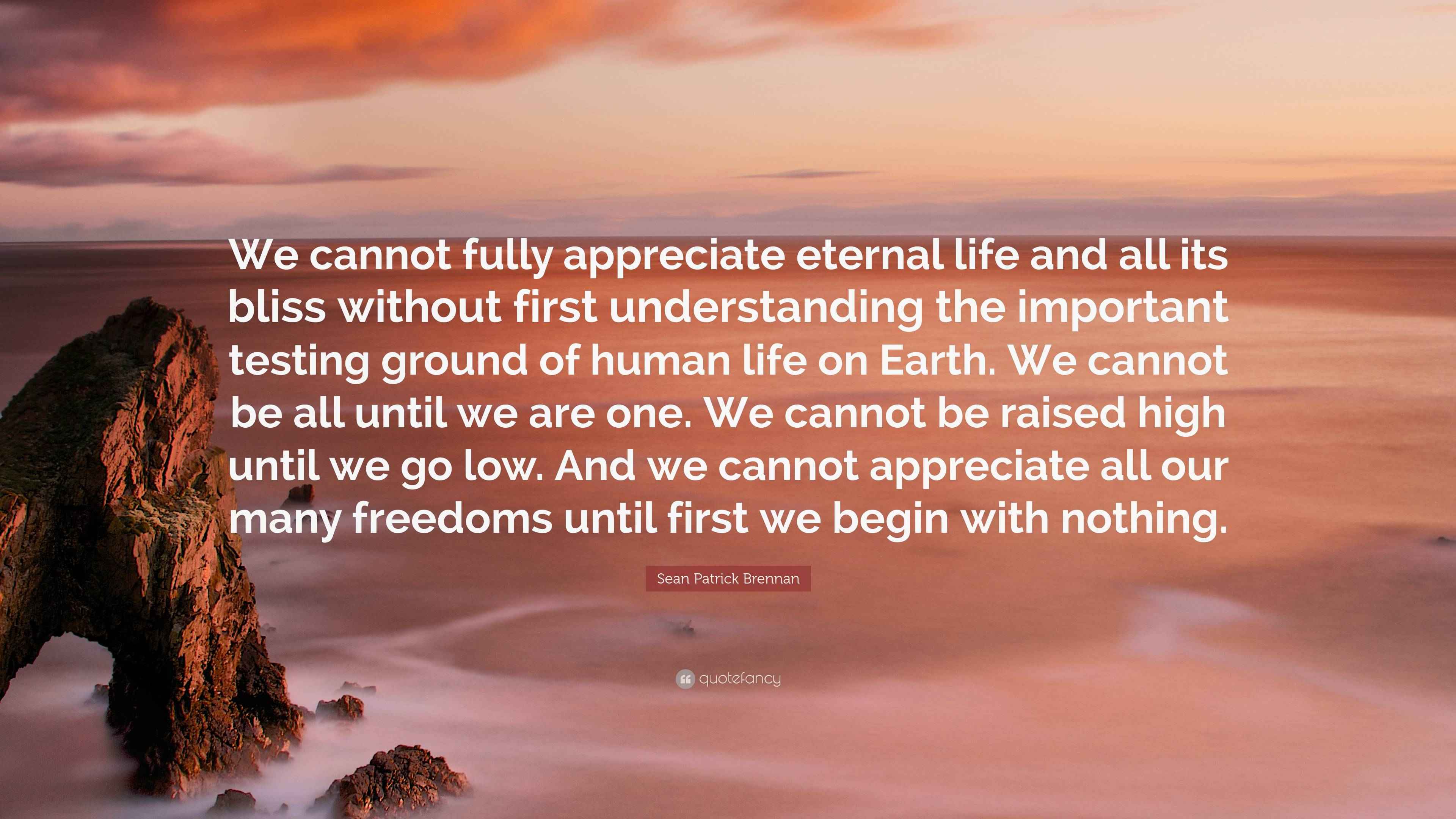 Sean Patrick Brennan Quote: “We cannot fully appreciate eternal life ...