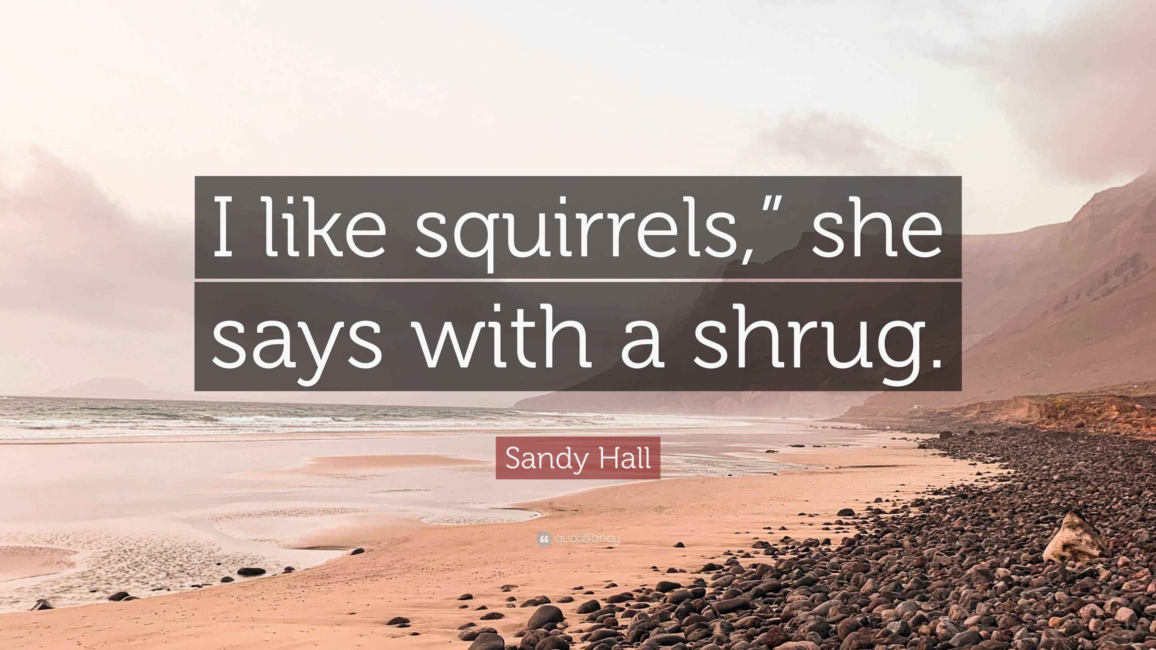 Sandy Hall Quote: “I like squirrels,” she says with a shrug.”
