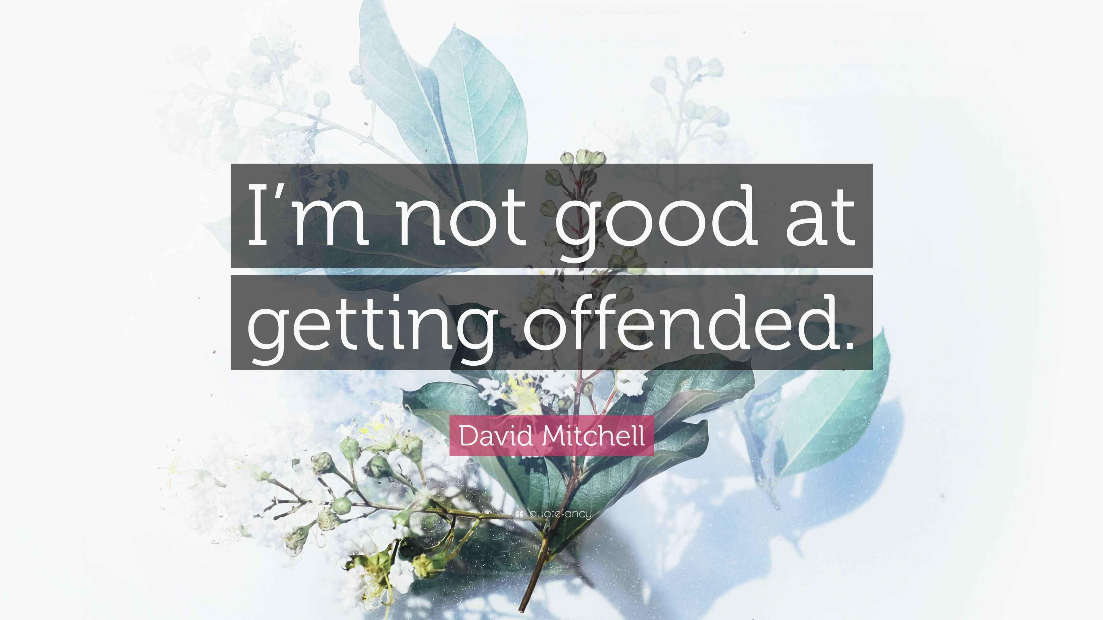 David Mitchell Quote: “I’m not good at getting offended.”