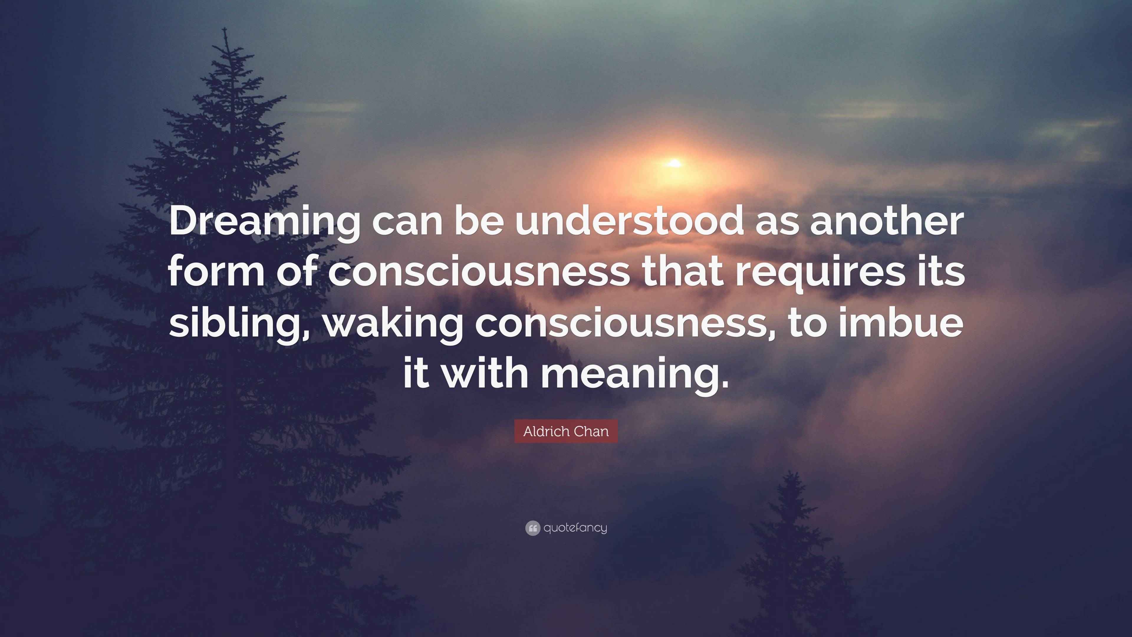 Aldrich Chan Quote: “Dreaming can be understood as another form of ...