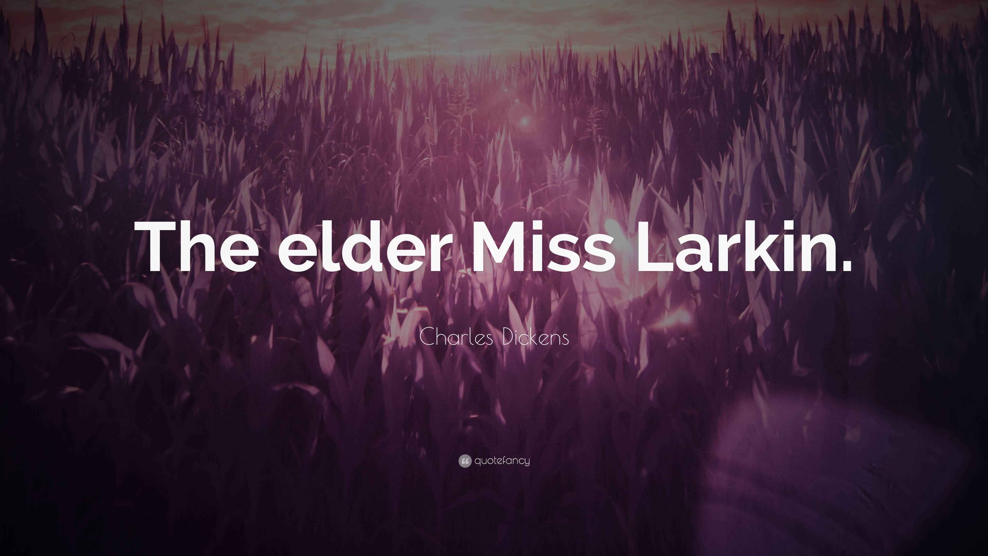 Charles Dickens Quote: “The elder Miss Larkin.”