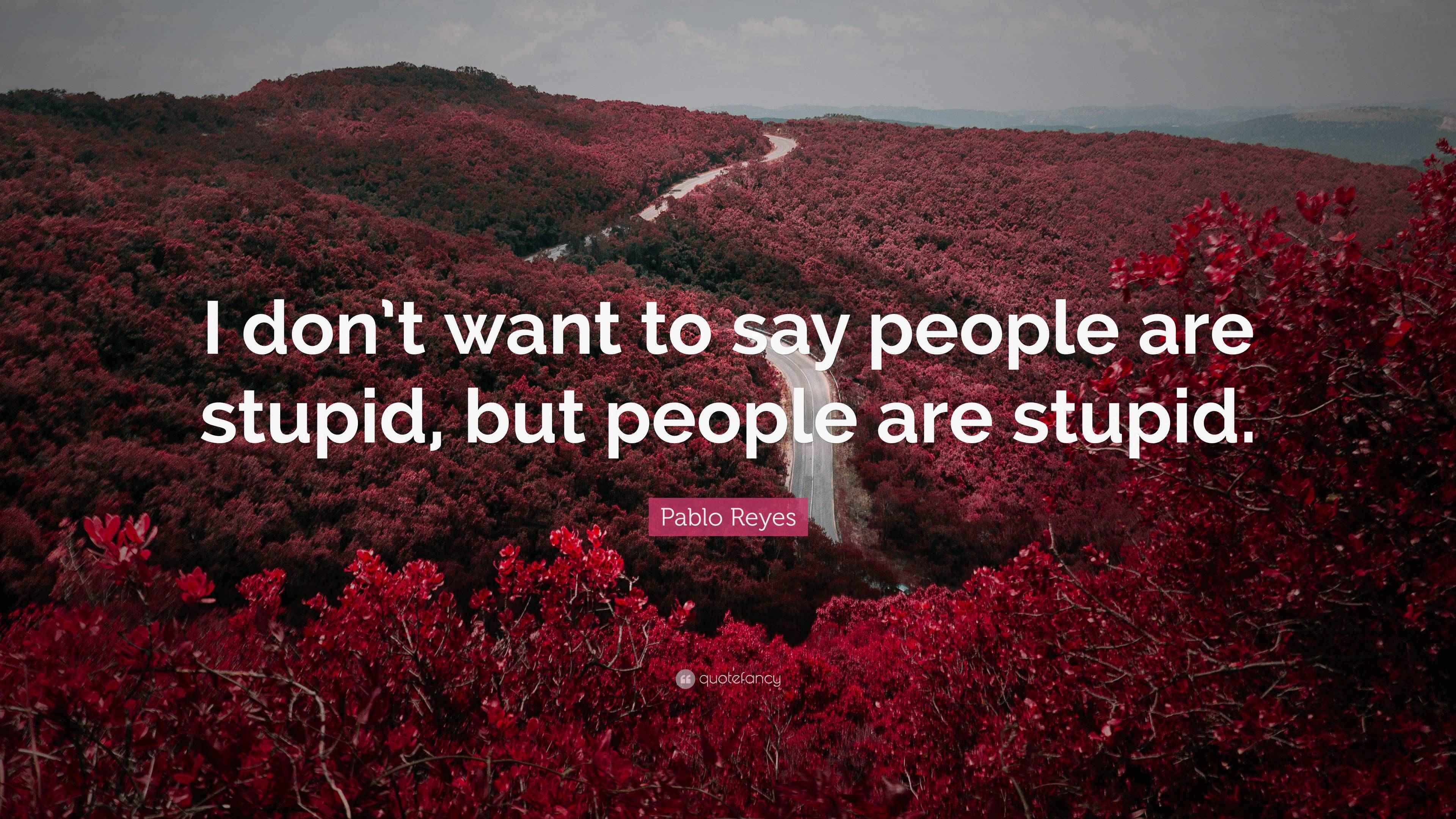 Pablo Reyes Quote: “I don’t want to say people are stupid, but people ...