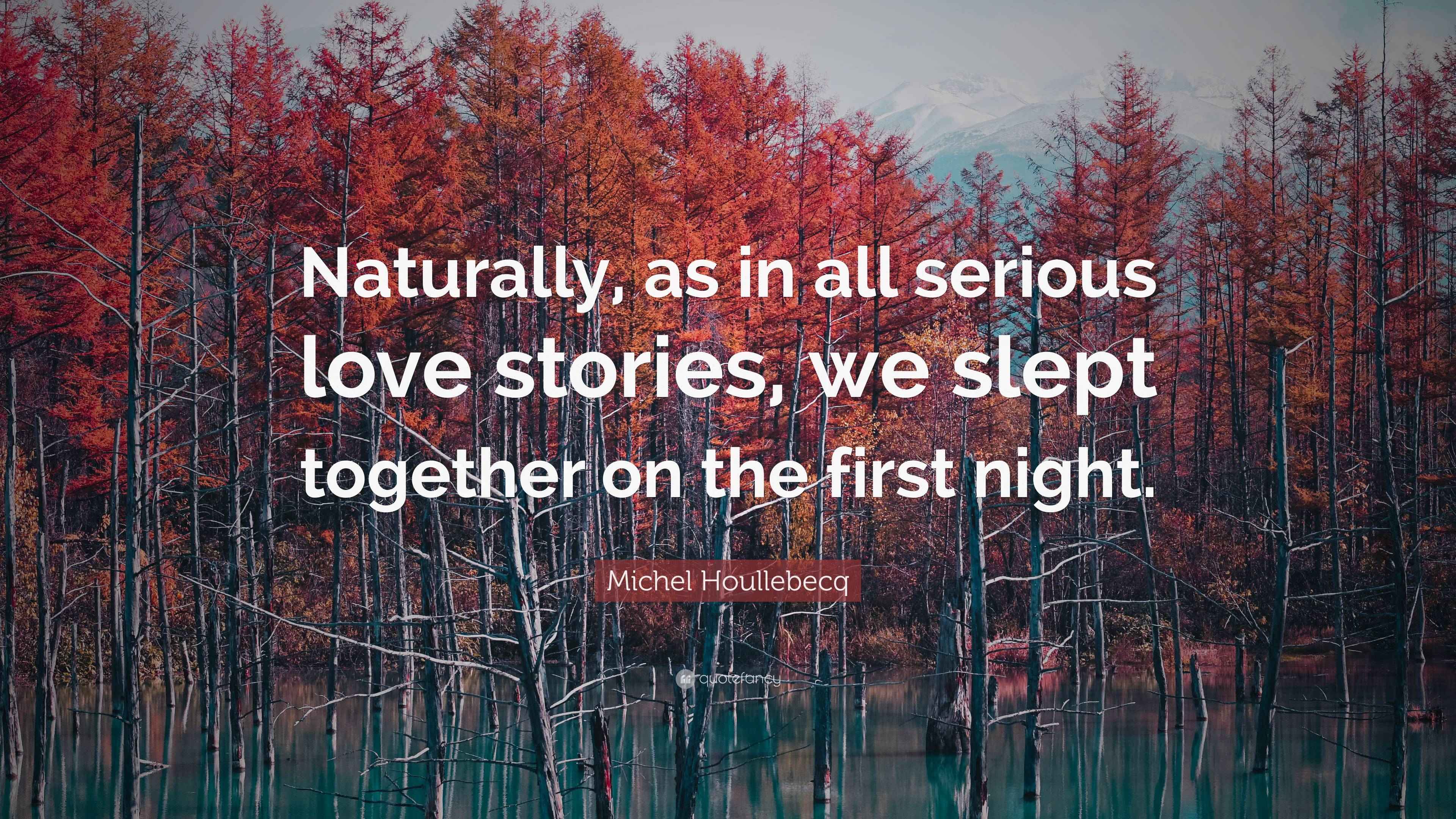 Michel Houllebecq Quote: “Naturally, as in all serious love stories, we ...