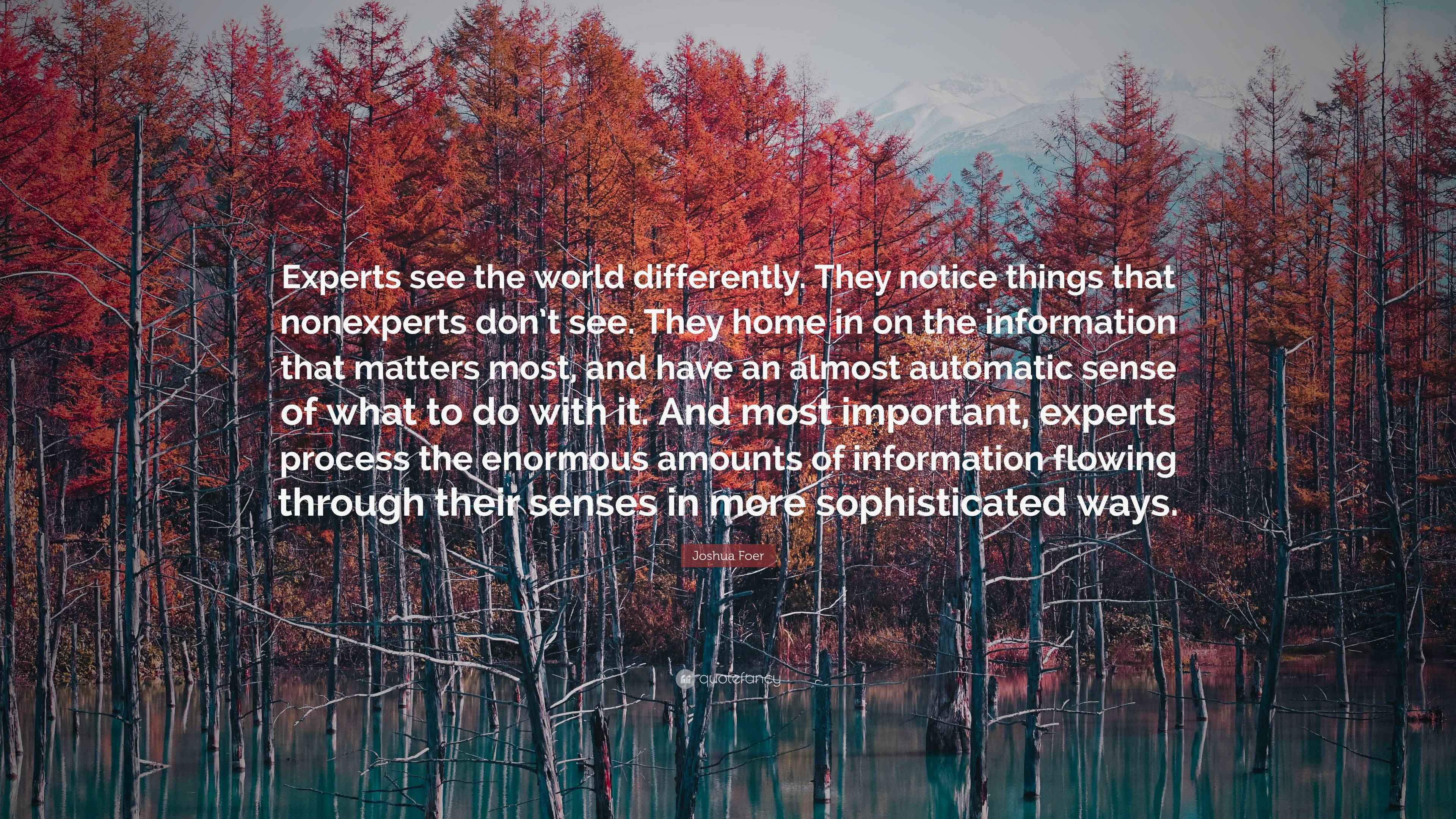 Joshua Foer Quote: “Experts see the world differently. They notice ...