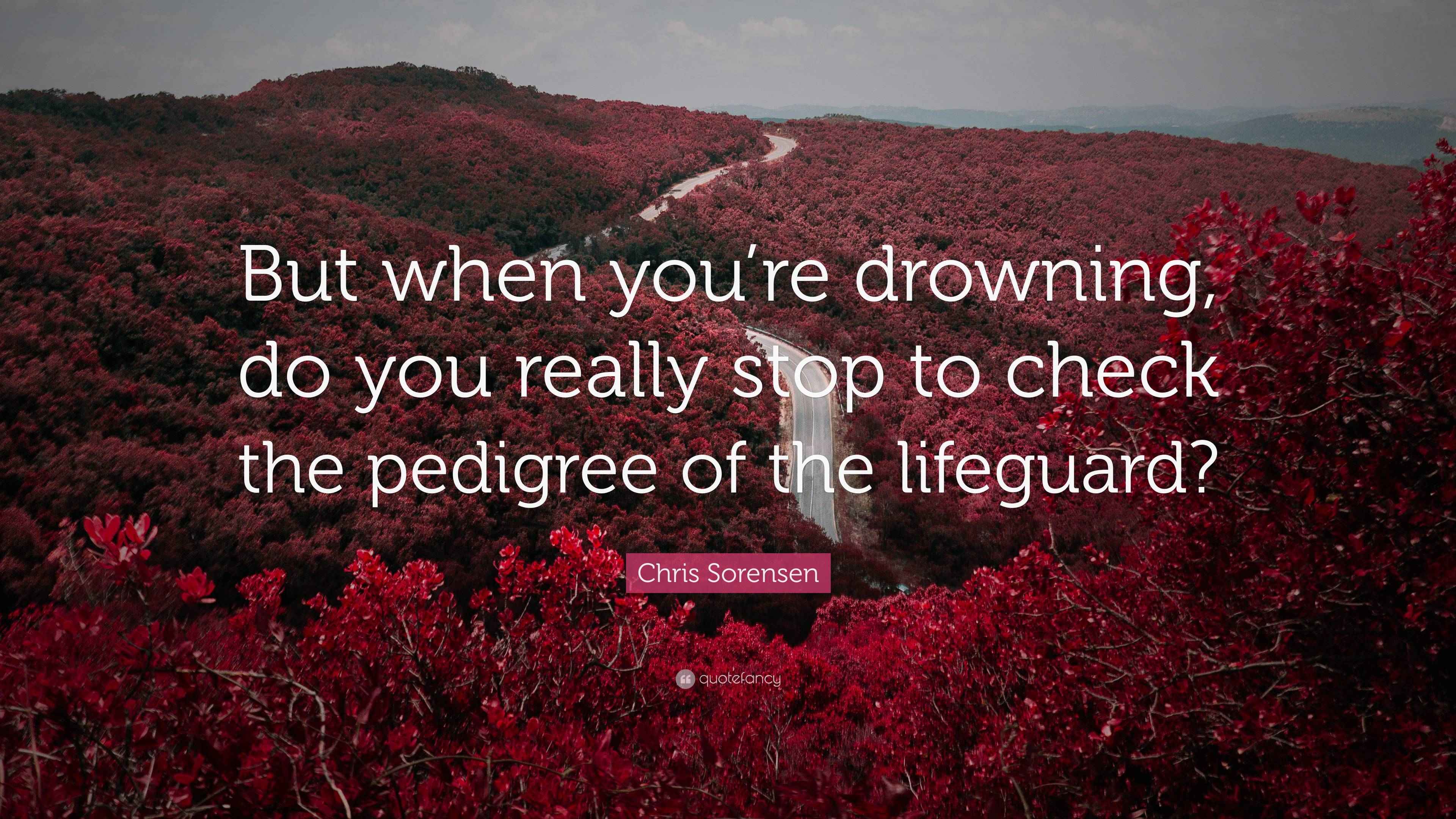 Chris Sorensen Quote: “But when you’re drowning, do you really stop to ...