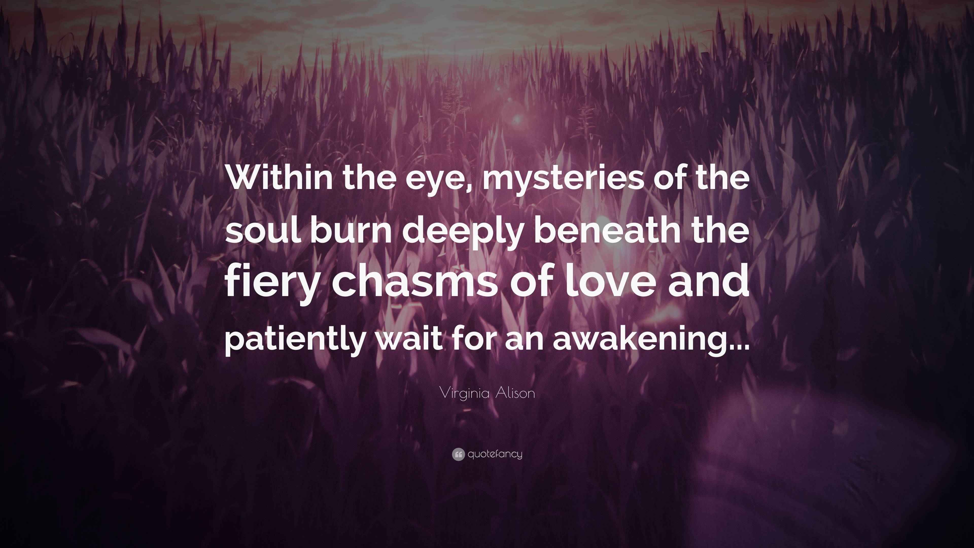 Virginia Alison Quote: “Within the eye, mysteries of the soul burn ...