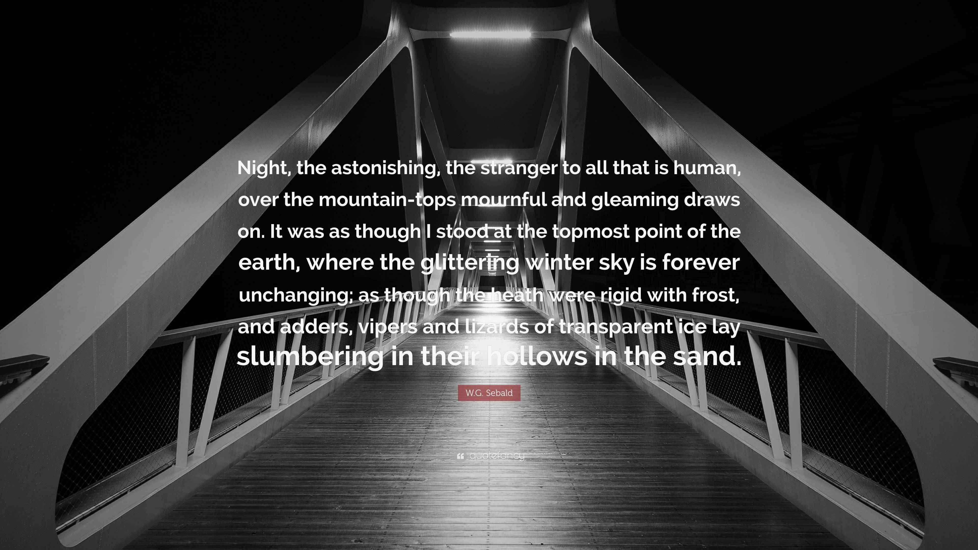 W.G. Sebald Quote: “Night, the astonishing, the stranger to all that is ...
