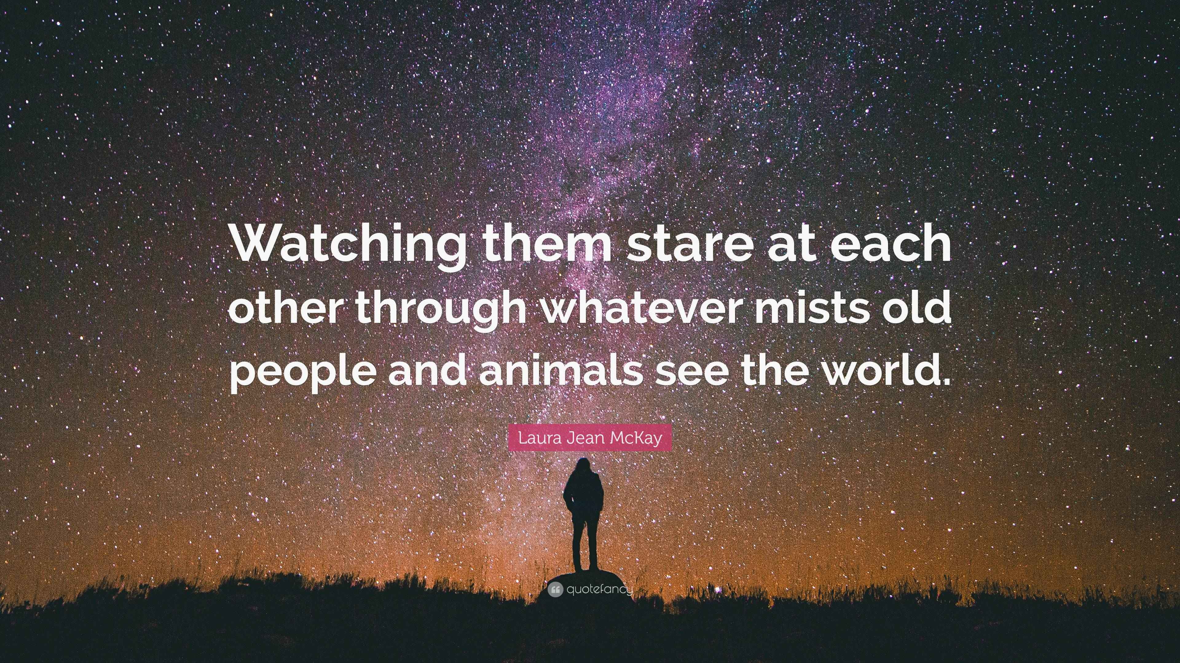 Laura Jean McKay Quote: “Watching them stare at each other through ...