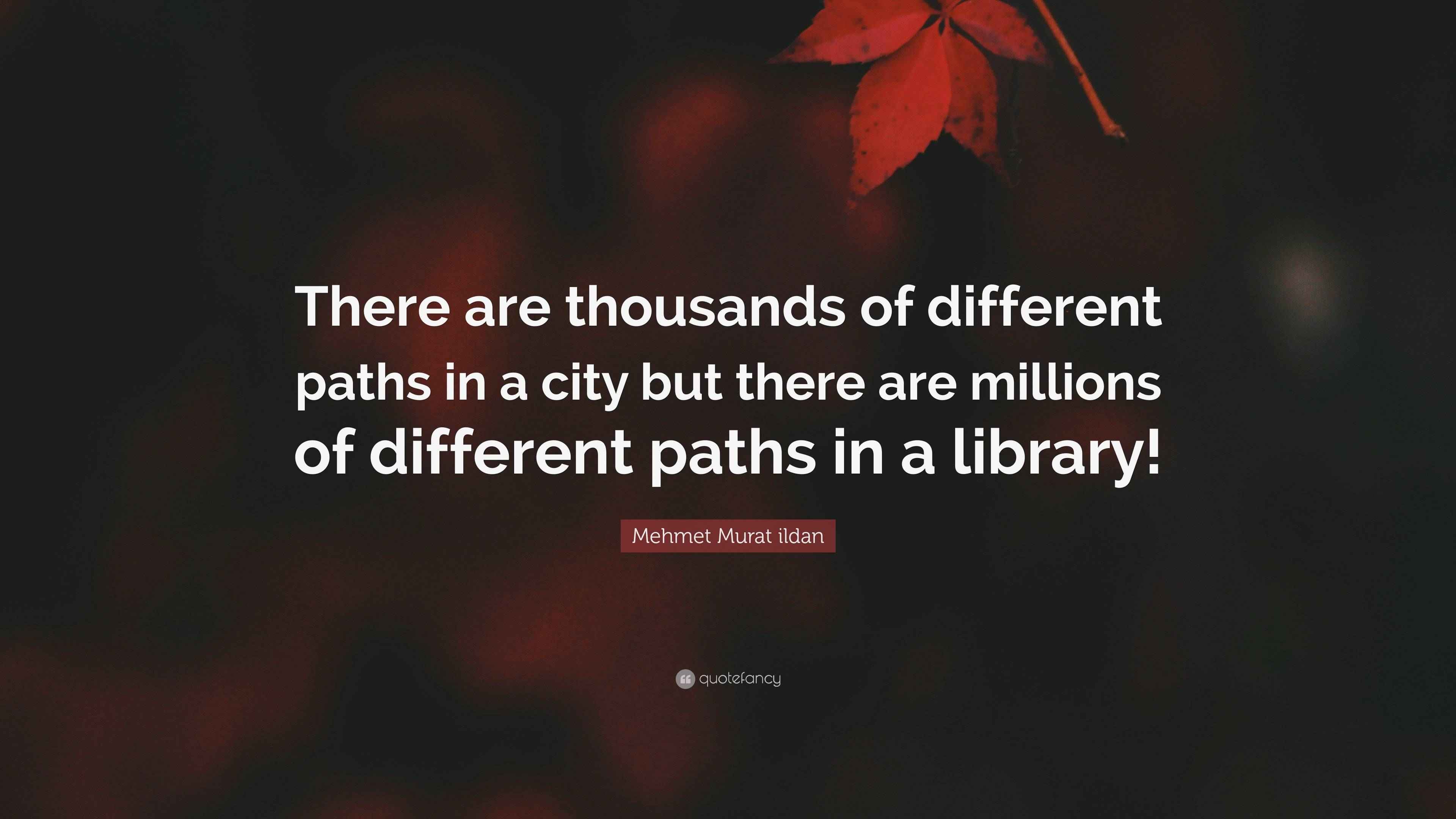Mehmet Murat ildan Quote: “There are thousands of different paths in a ...