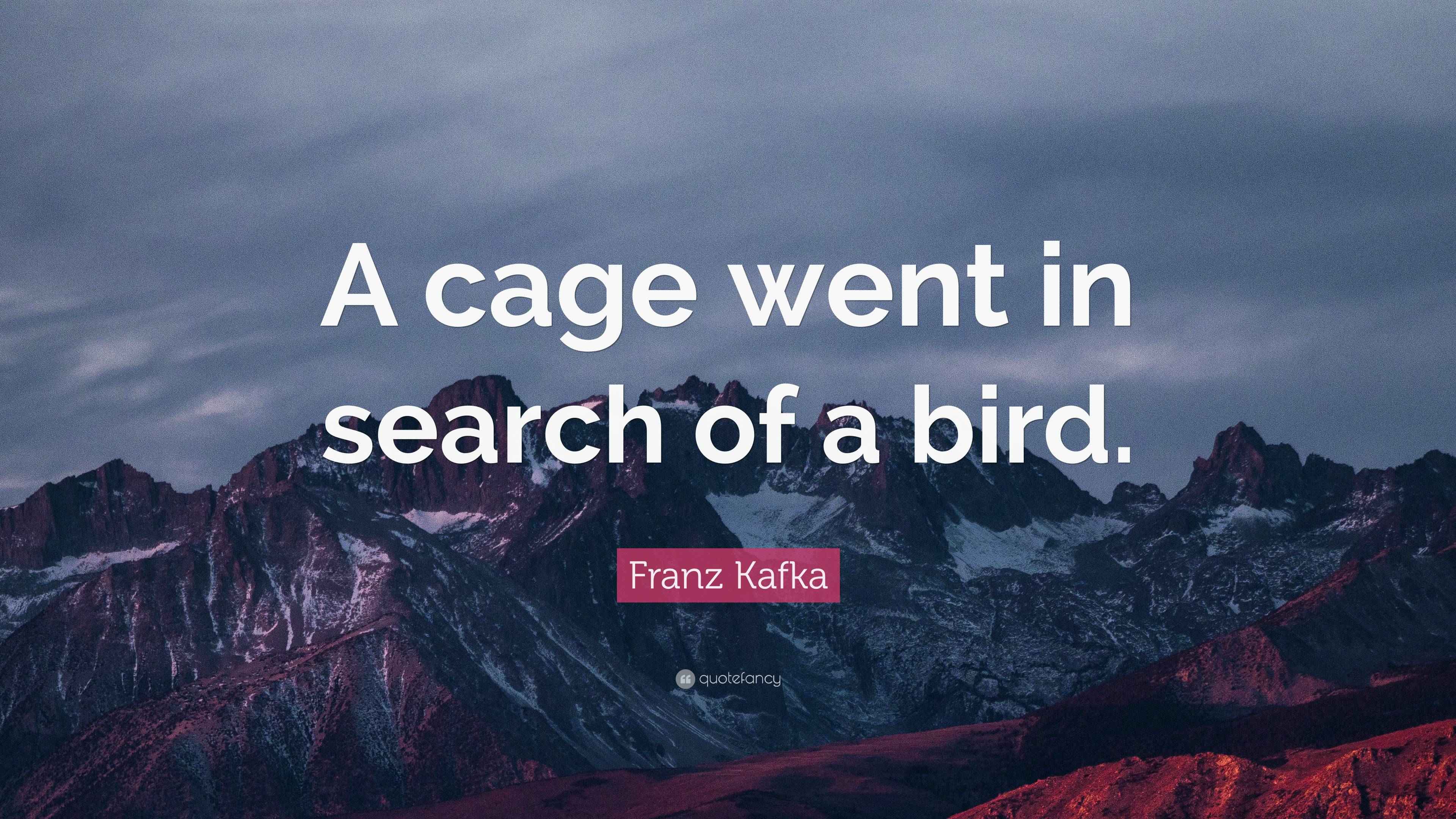 Franz Kafka Quote: “A cage went in search of a bird.”