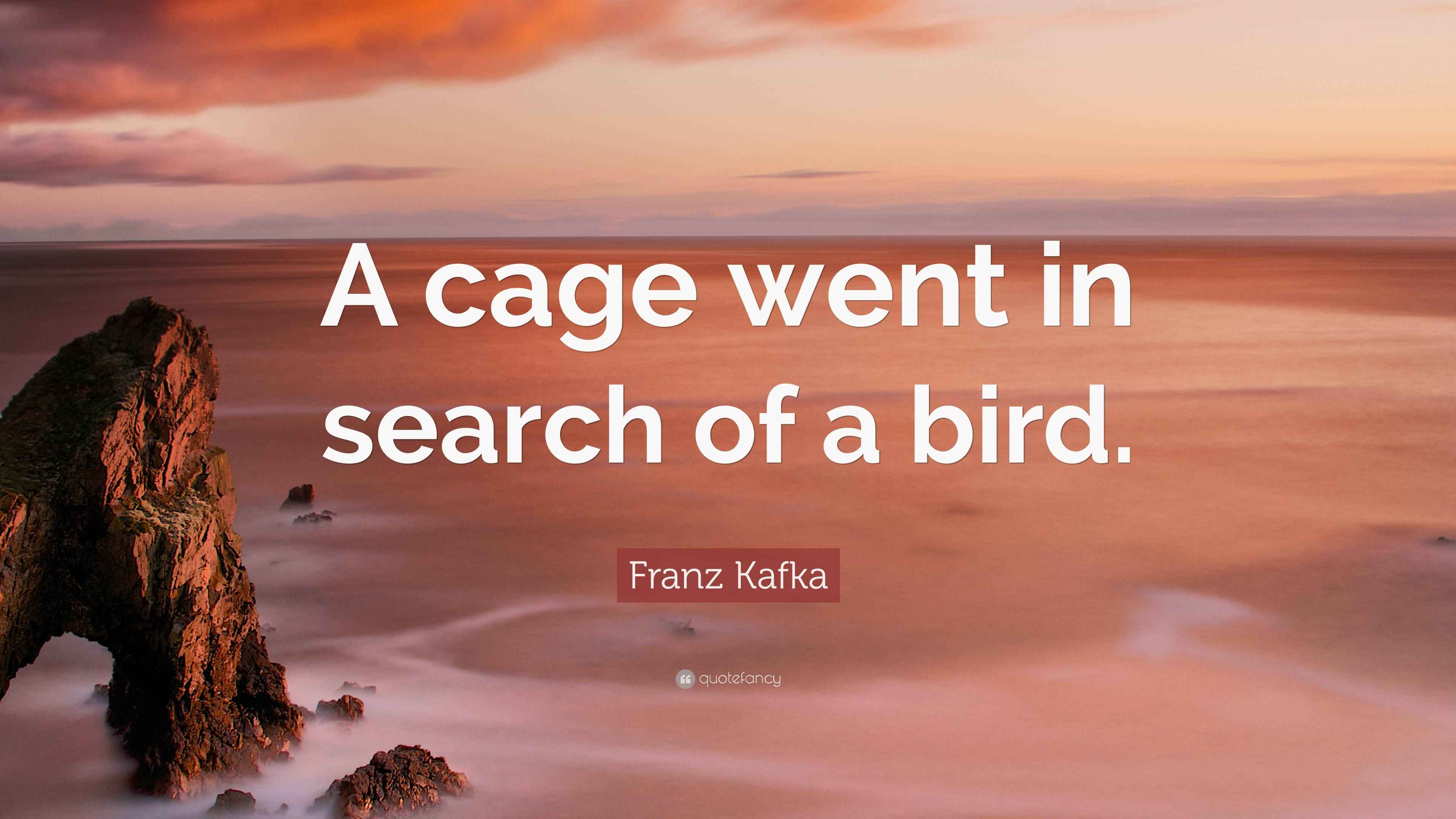 Franz Kafka Quote: “A cage went in search of a bird.”