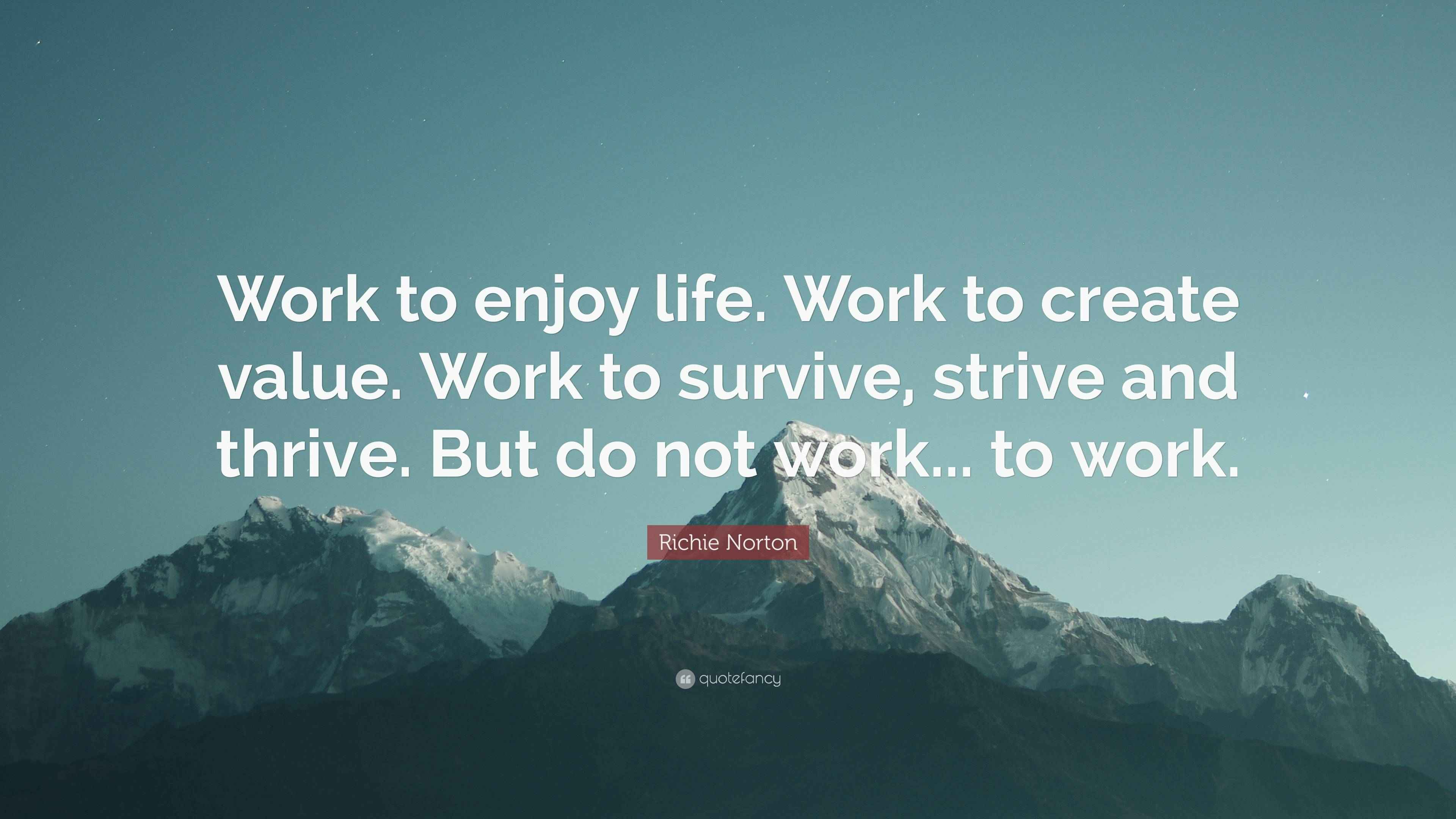 Richie Norton Quote: “Work to enjoy life. Work to create value. Work to ...