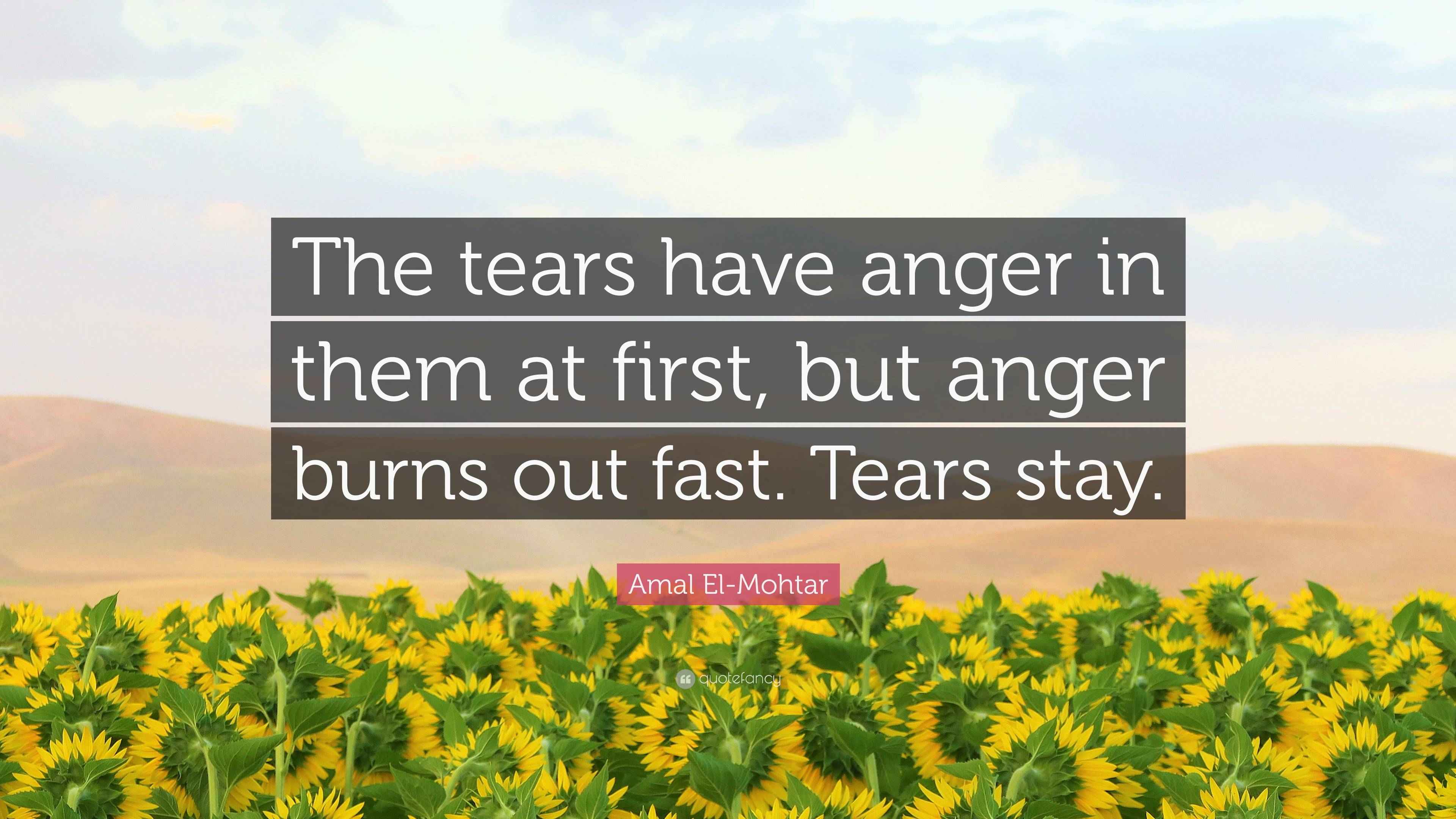 Amal El-Mohtar Quote: “The tears have anger in them at first, but anger ...